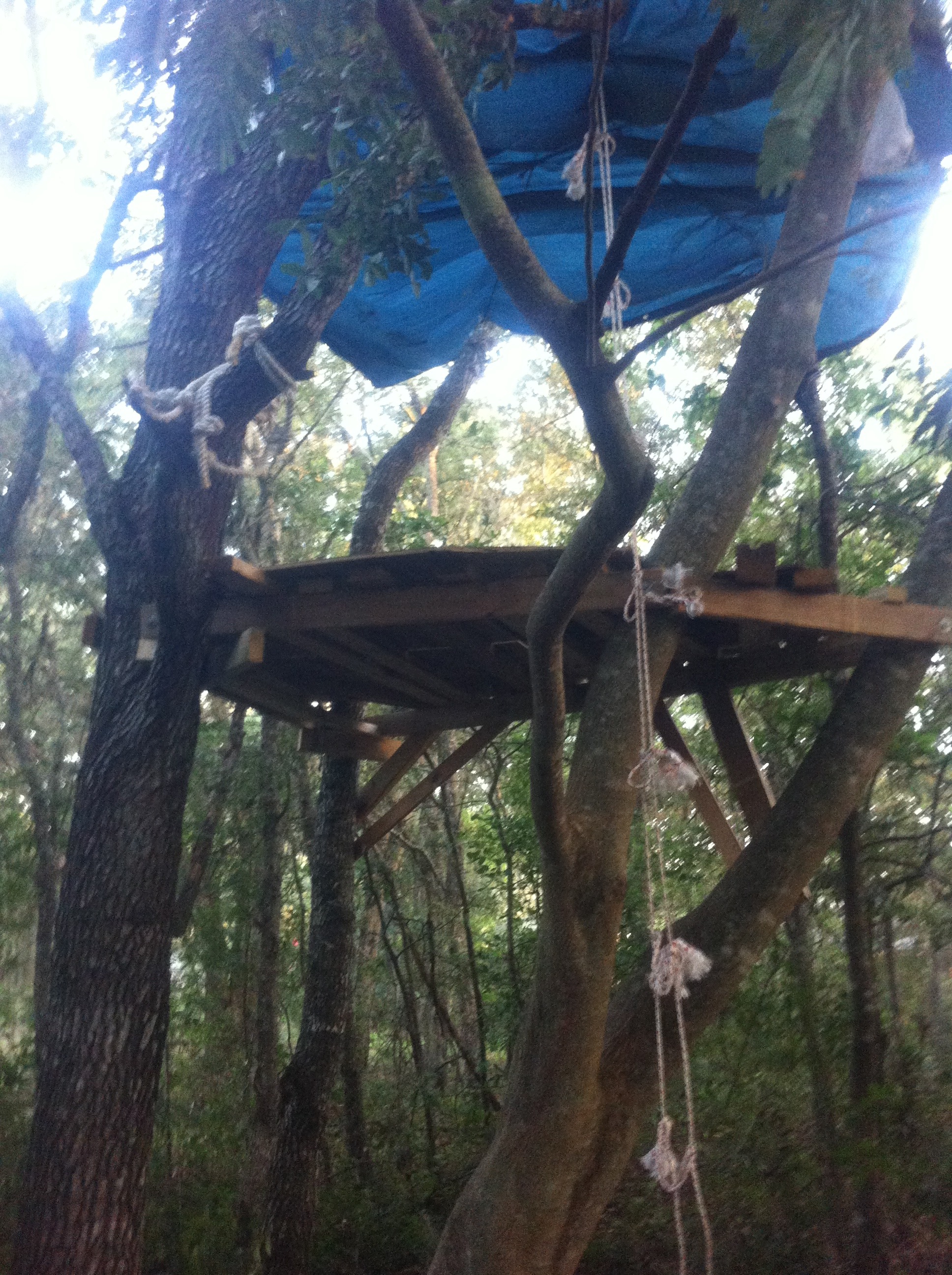 How to Build a Treehouse : 5 Steps - Instructables
