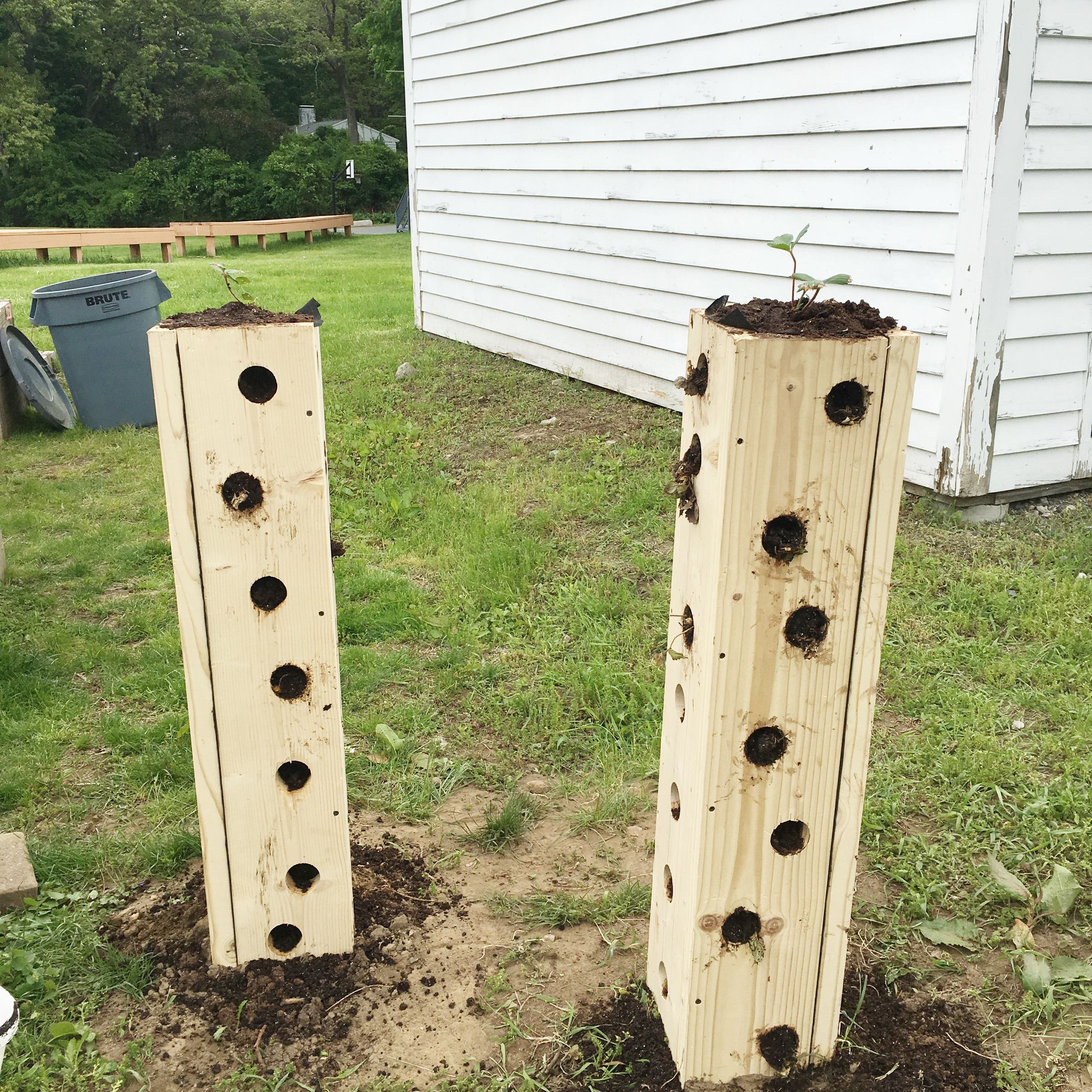 Tech & Engineering Class: Strawberry Towers : 8 Steps (with Pictures ...