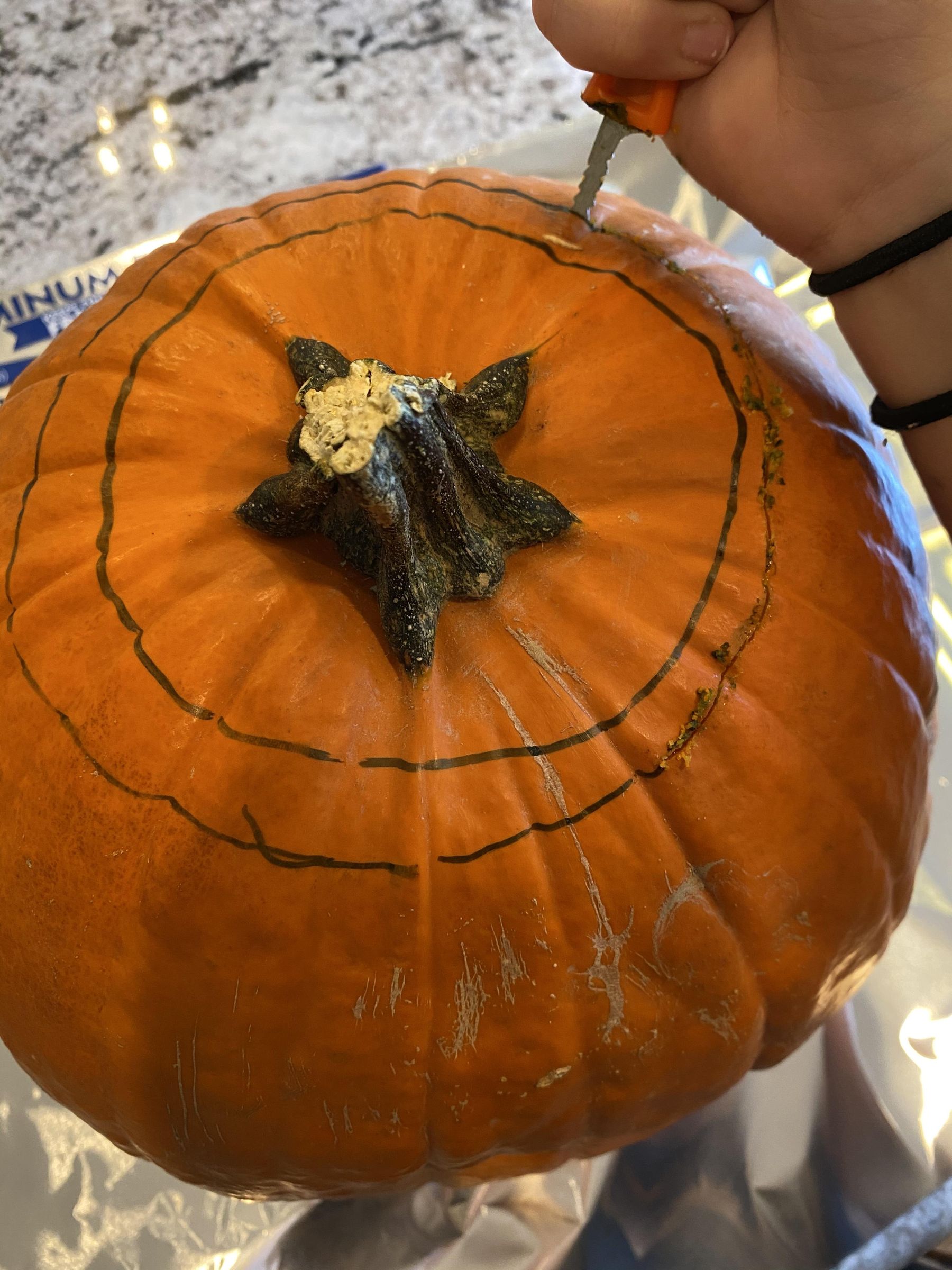 The Pumpkin Cooler : 7 Steps (with Pictures) - Instructables