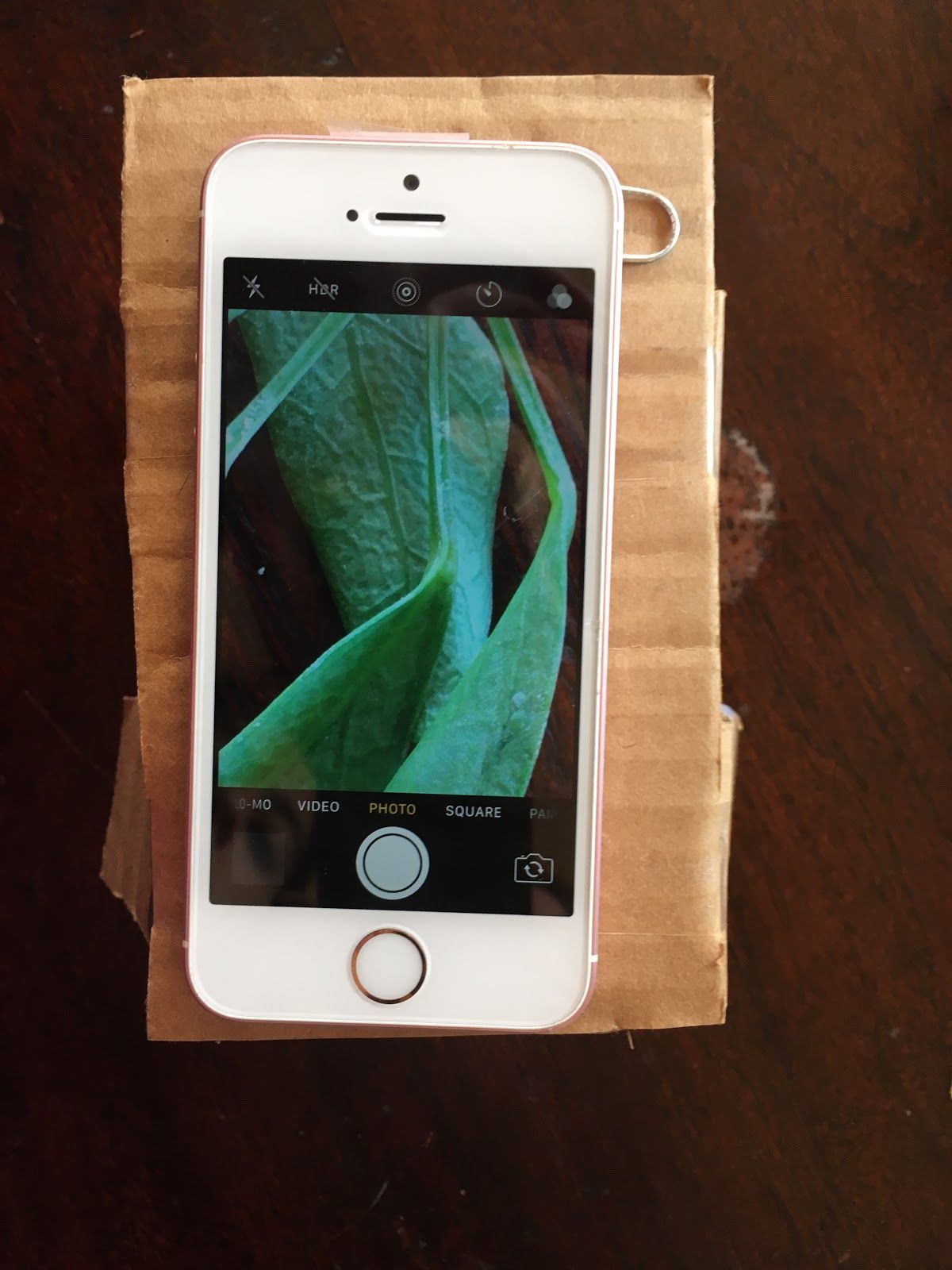 DIY IPhone Camera Microscope : 8 Steps (with Pictures) - Instructables