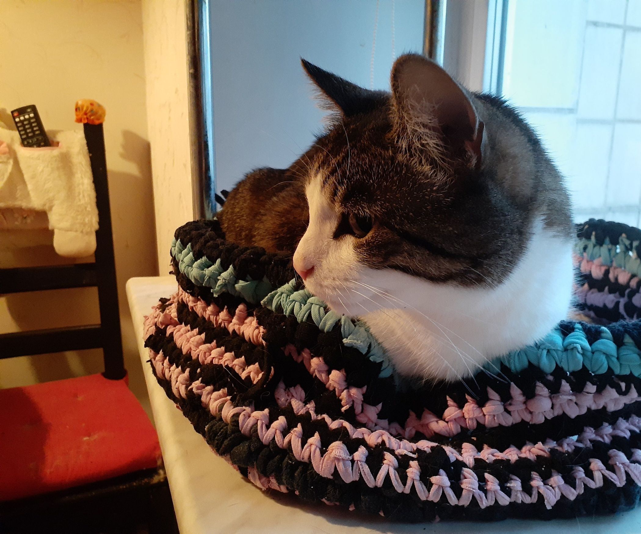 Cat Bed From Rags : 4 Steps - Instructables