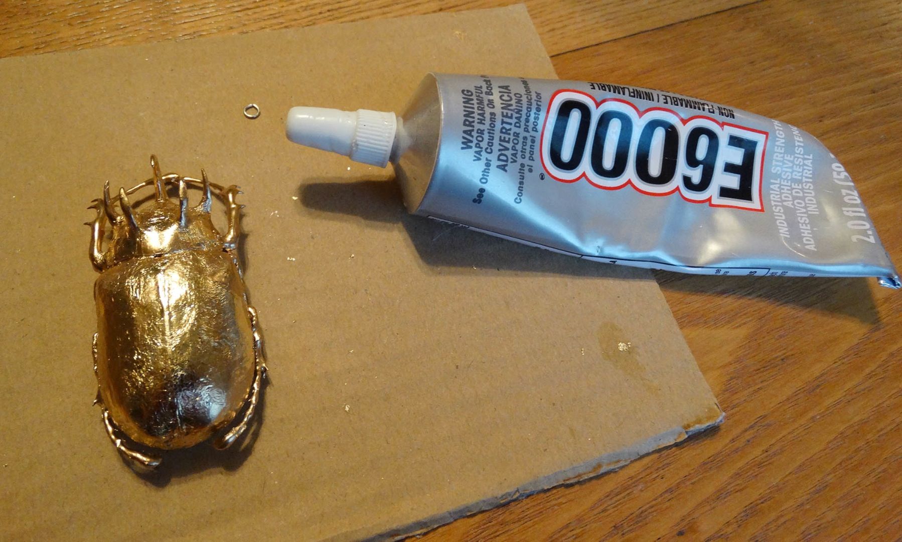 Preparing and Gilding a Real Insect : 10 Steps (with Pictures ...