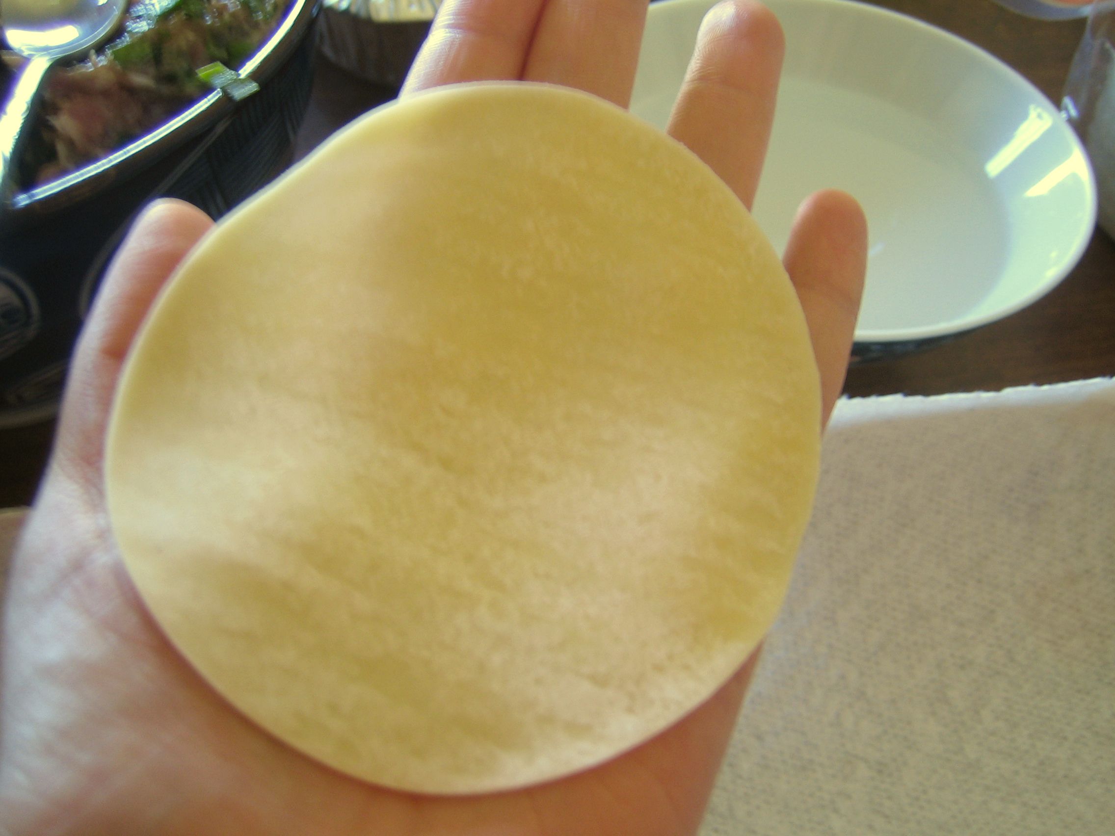 How to Make Potstickers - From Scratch! : 6 Steps (with Pictures ...