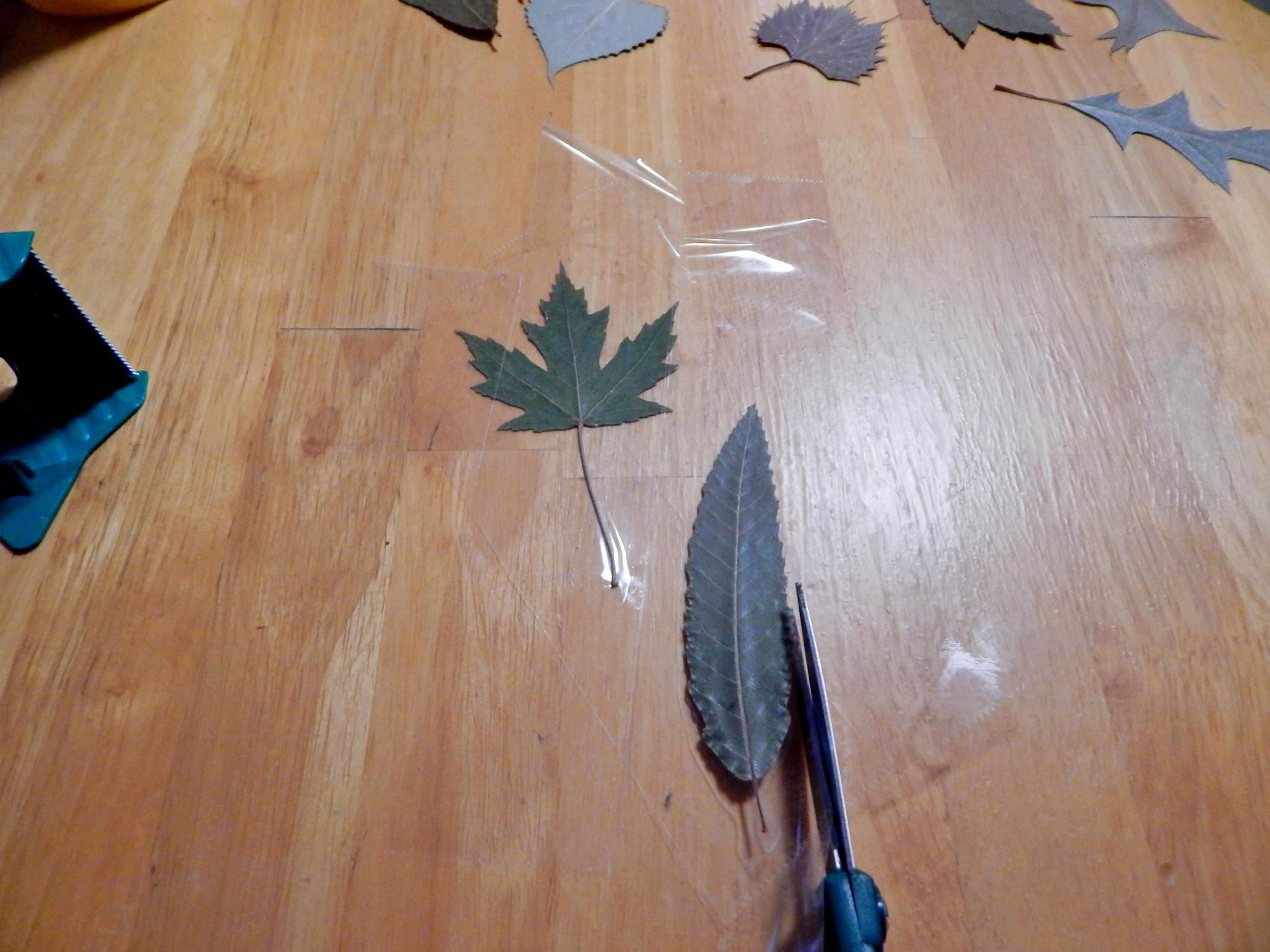 DIY Laminated Leaf Bookmarks : 4 Steps (with Pictures) - Instructables