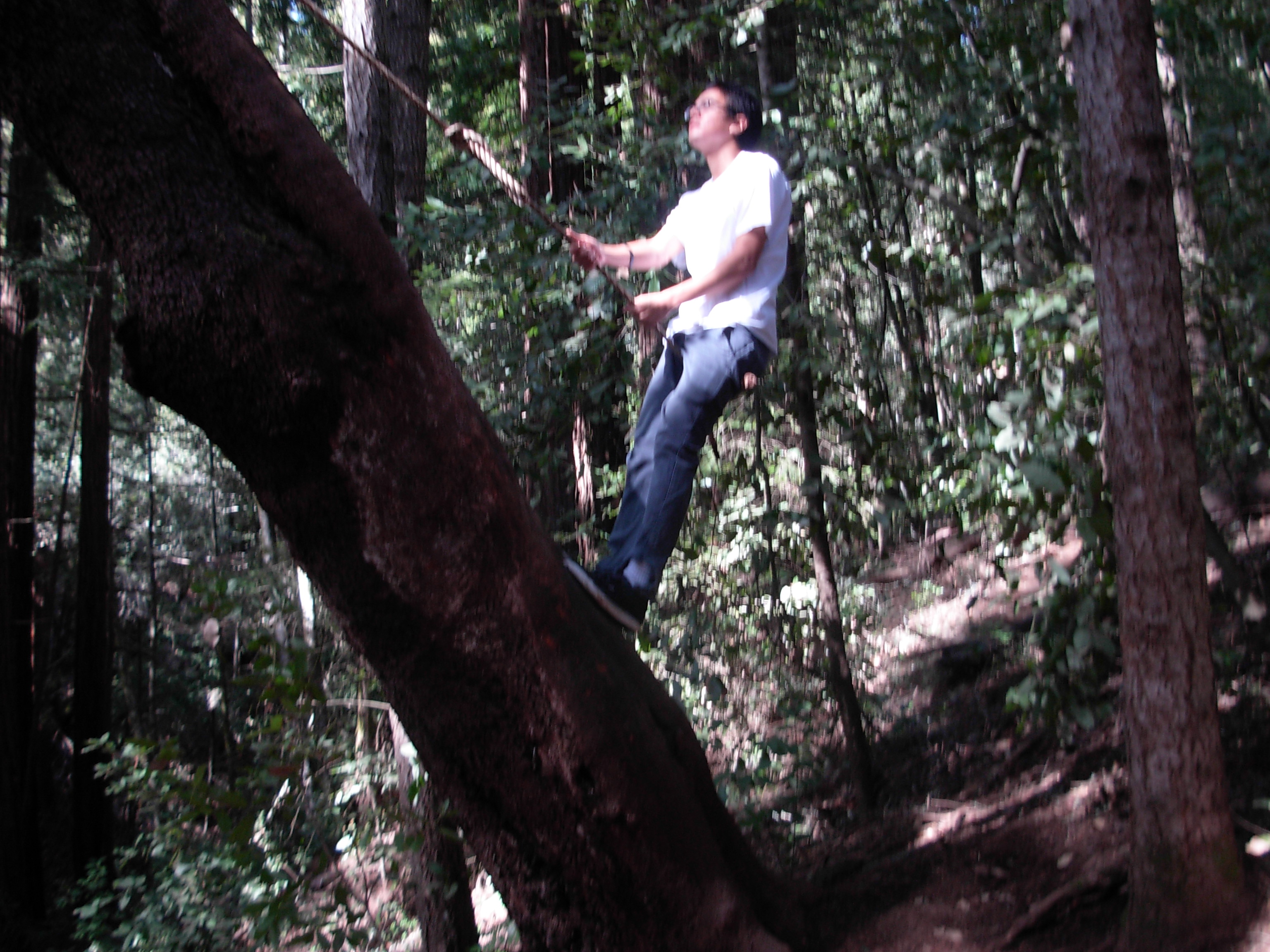 How to Make a Rope Swing : 9 Steps - Instructables