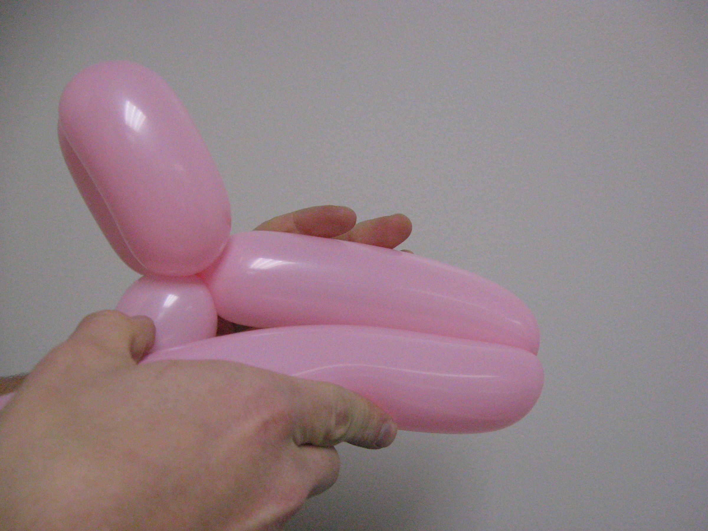 Balloon Puppy : 7 Steps (with Pictures) - Instructables