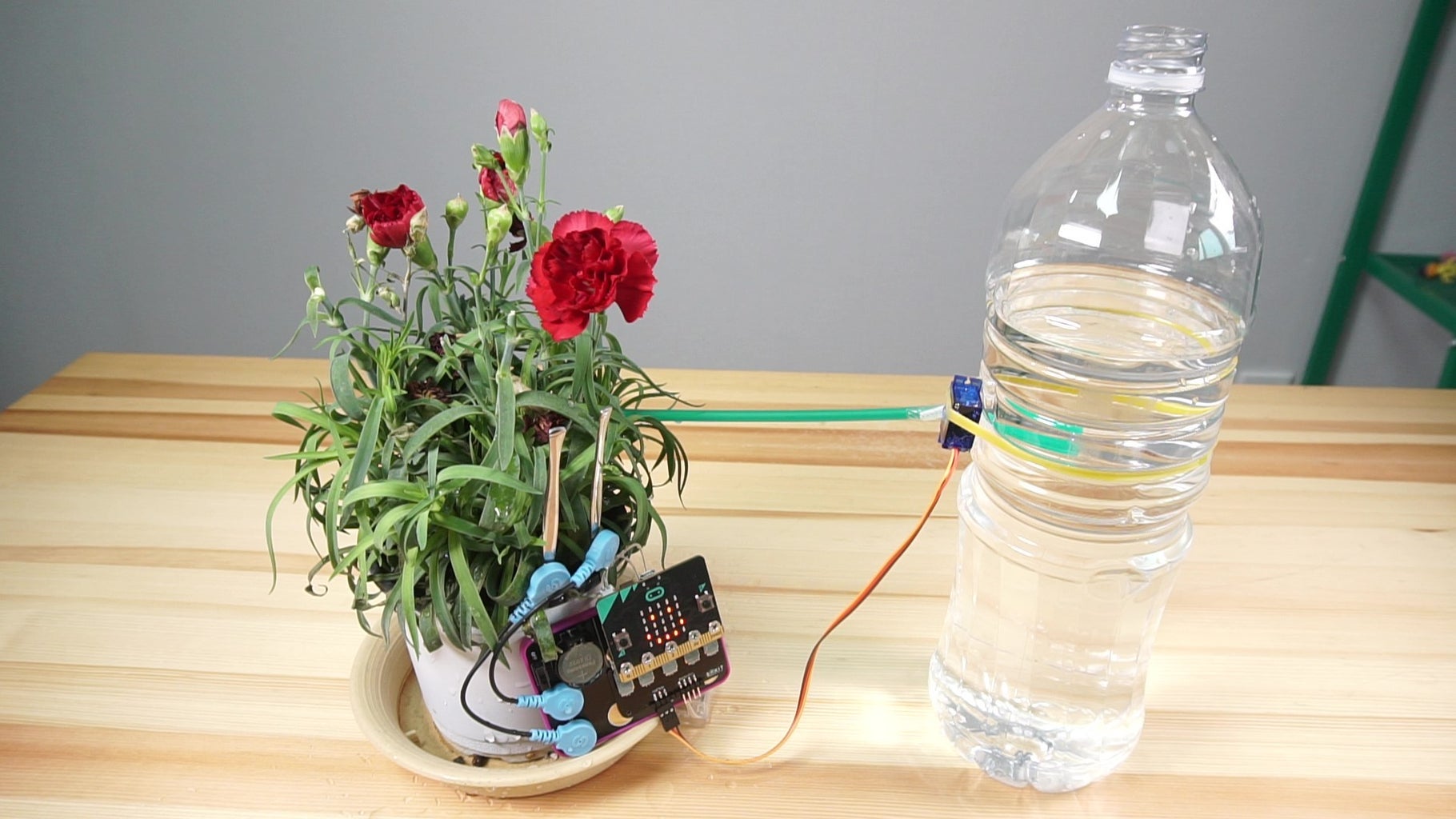 A Simple Automatic Watering System microbit Instructables a-simple-automatic-watering-system-microbit-instructables