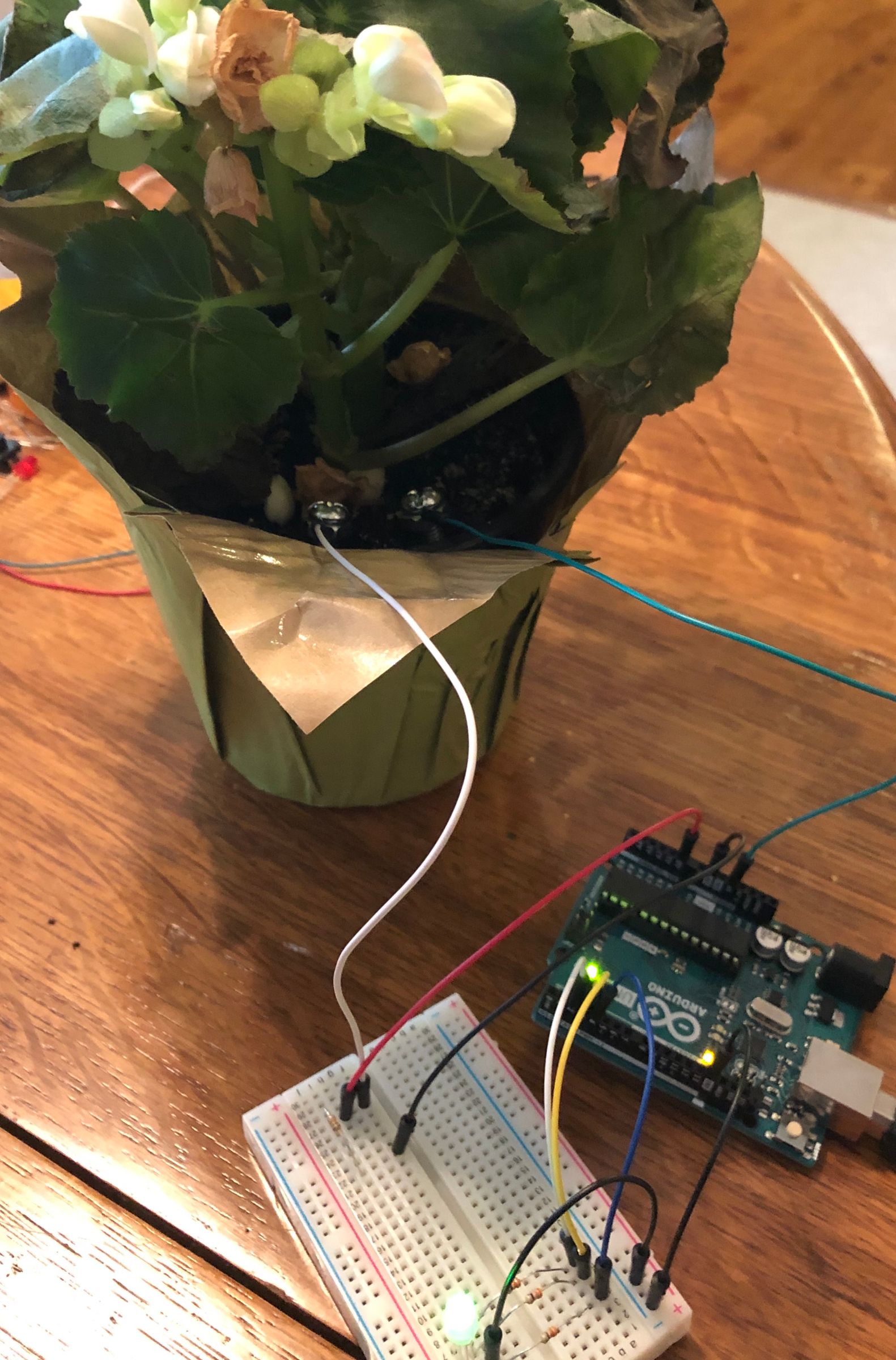 Soil Moisture Sensor DIY : 8 Steps - Instructables