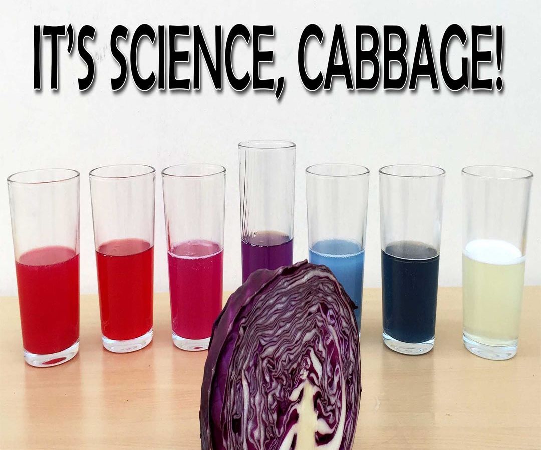 Acid/Base PH Indicator Experiment (Video) : 3 Steps (with Pictures ...