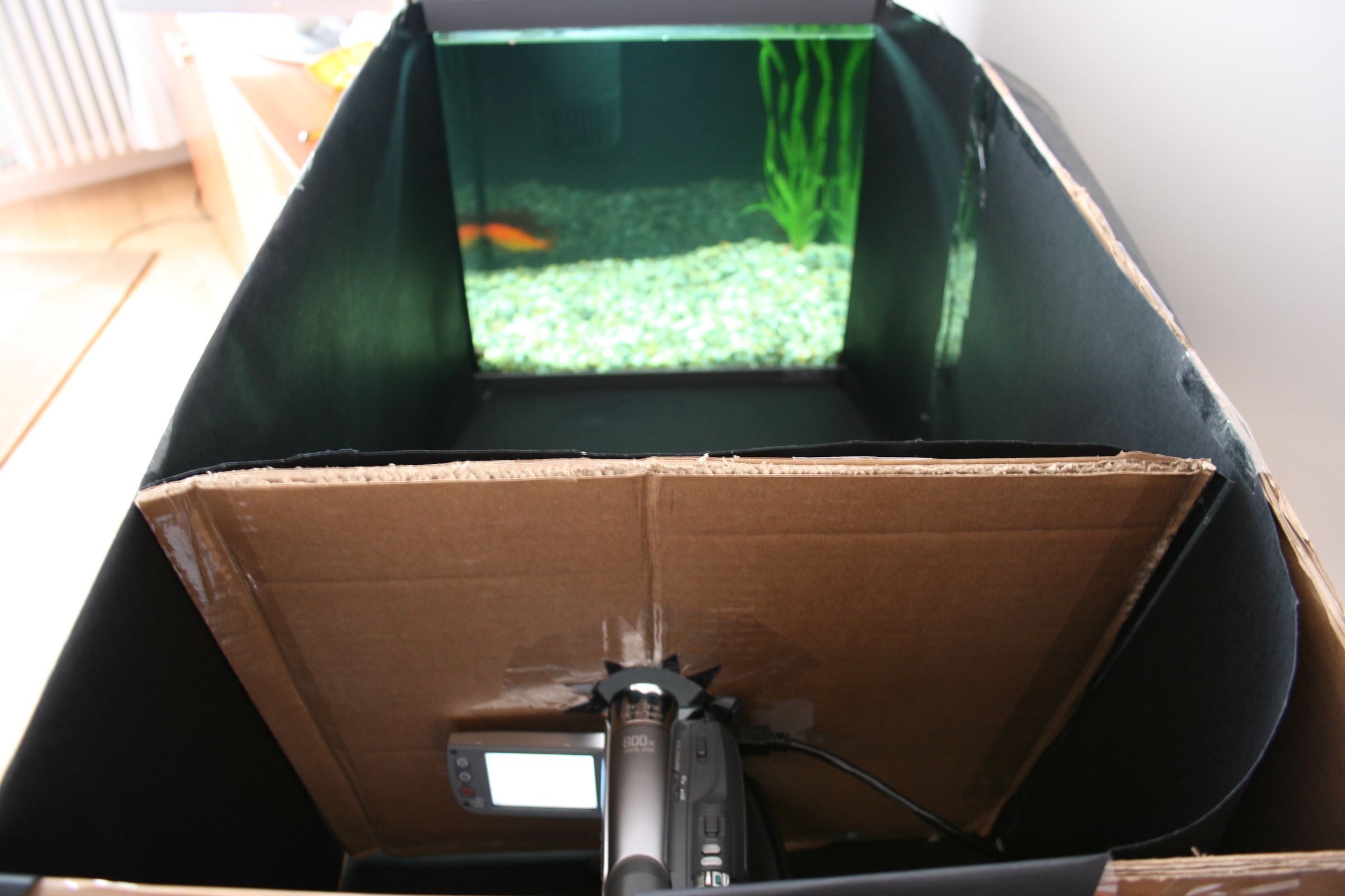 FOOF FOR FISH EXPERIMENT - Instructables