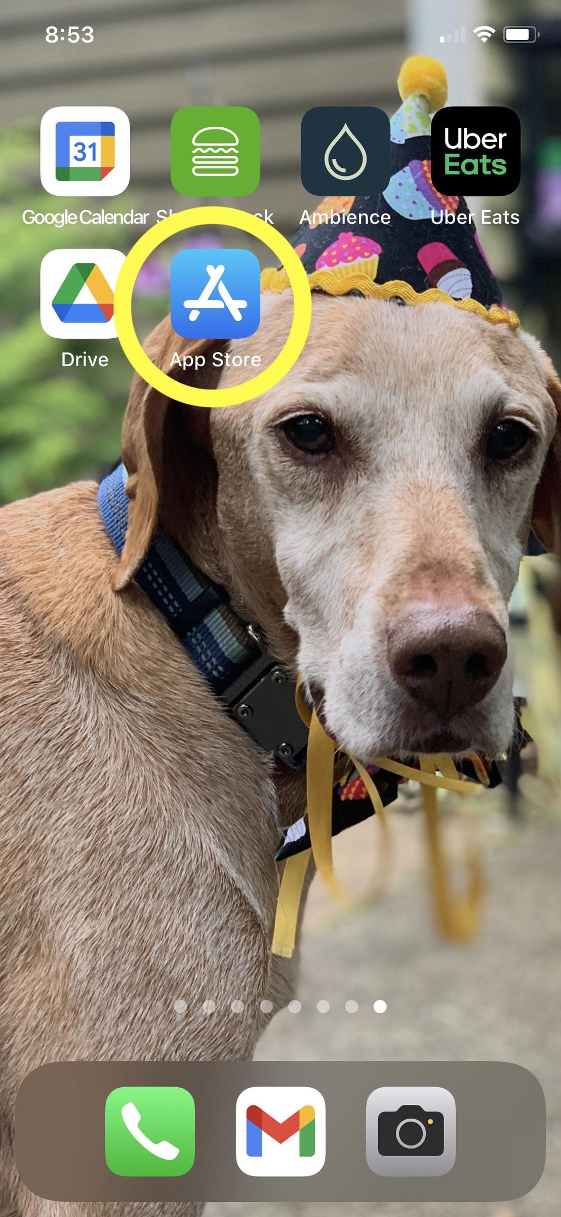 How to Sync Your Innotech Scale With Bodysite Using an IPhone : 7 Steps ...