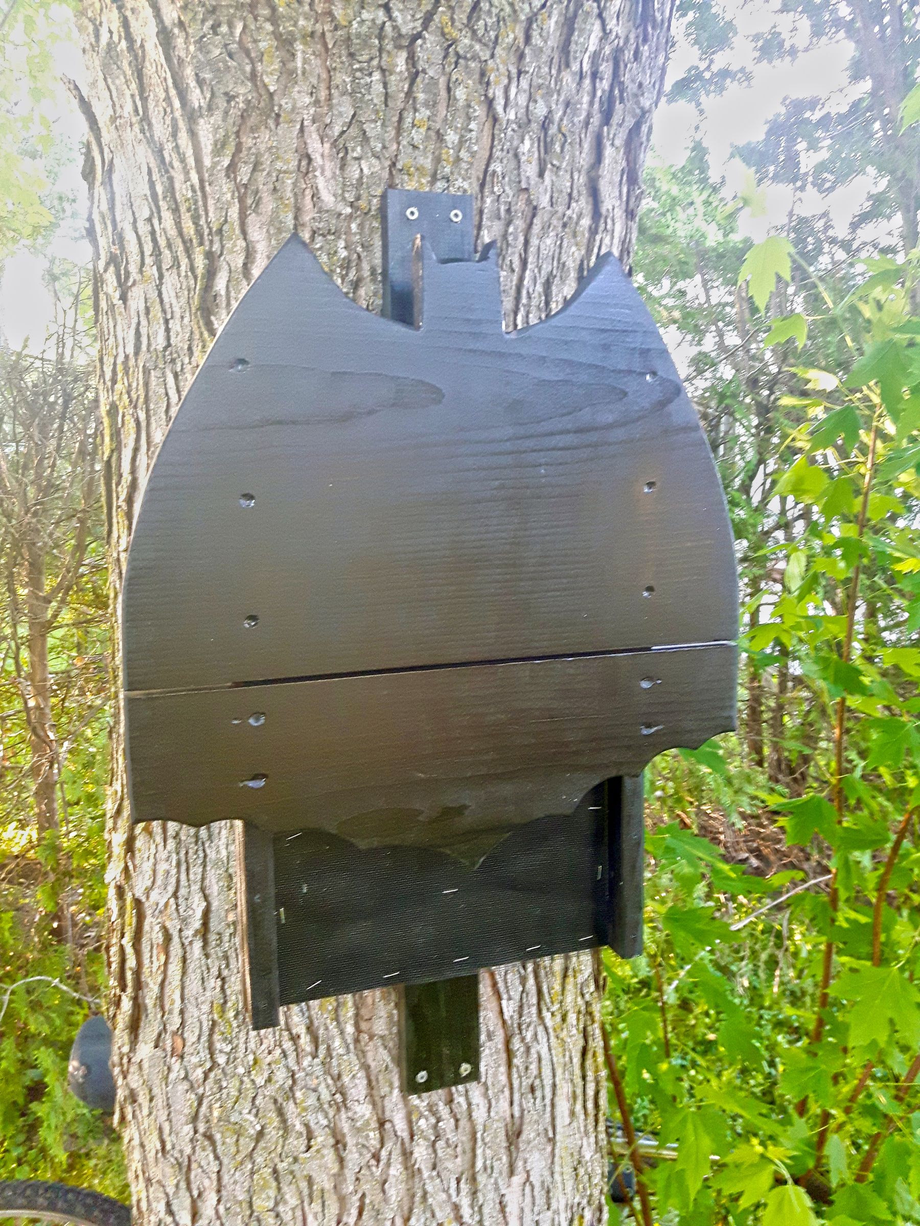 Batman Logo Bat Box House : 10 Steps (with Pictures) - Instructables