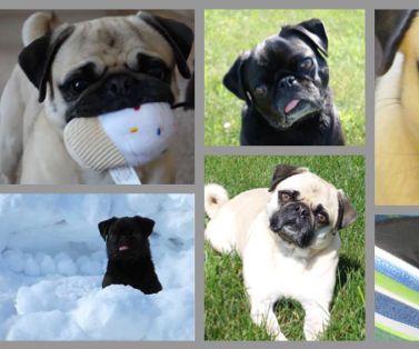 Simple Photography : 11 Steps - Instructables