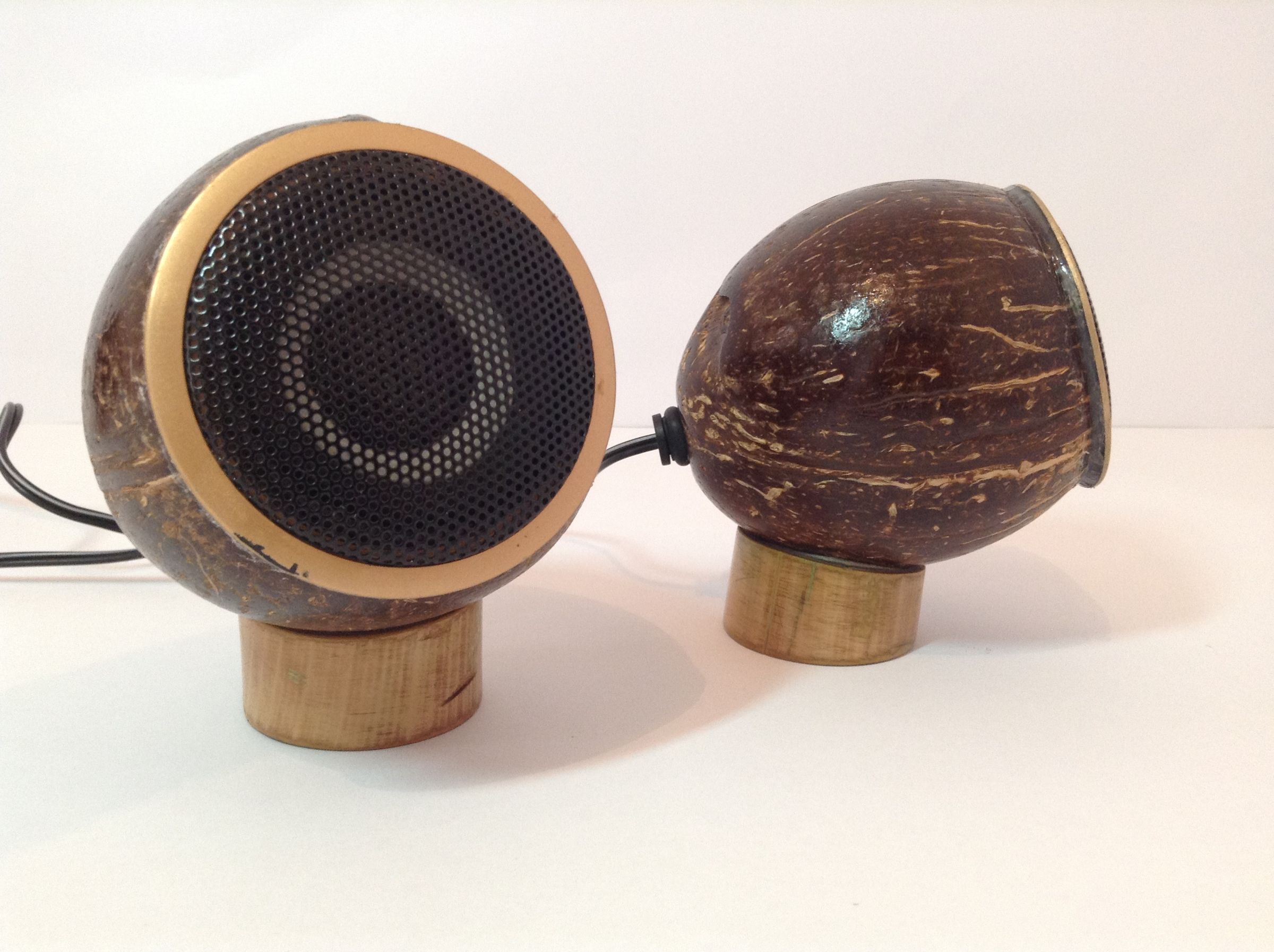 Coconut Speaker. : 4 Steps (with Pictures) - Instructables