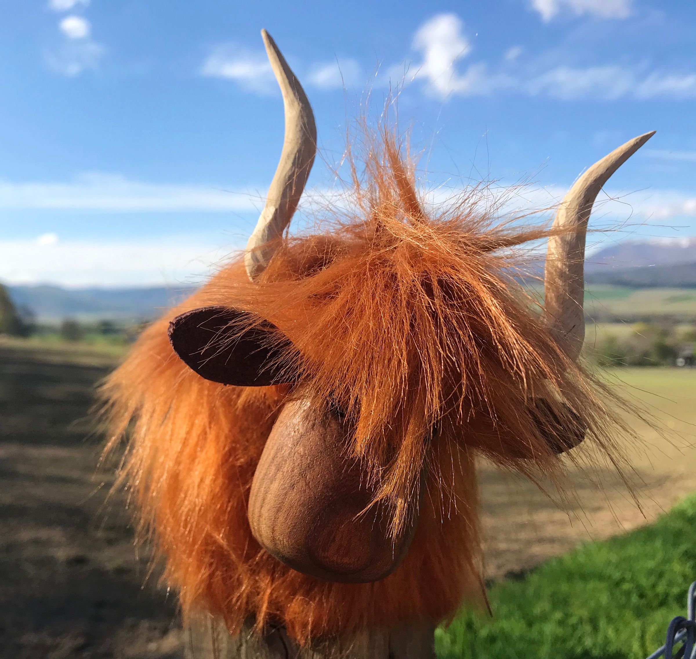 Highland Cow From Scraps on a Woodlathe : 9 Steps (with Pictures ...