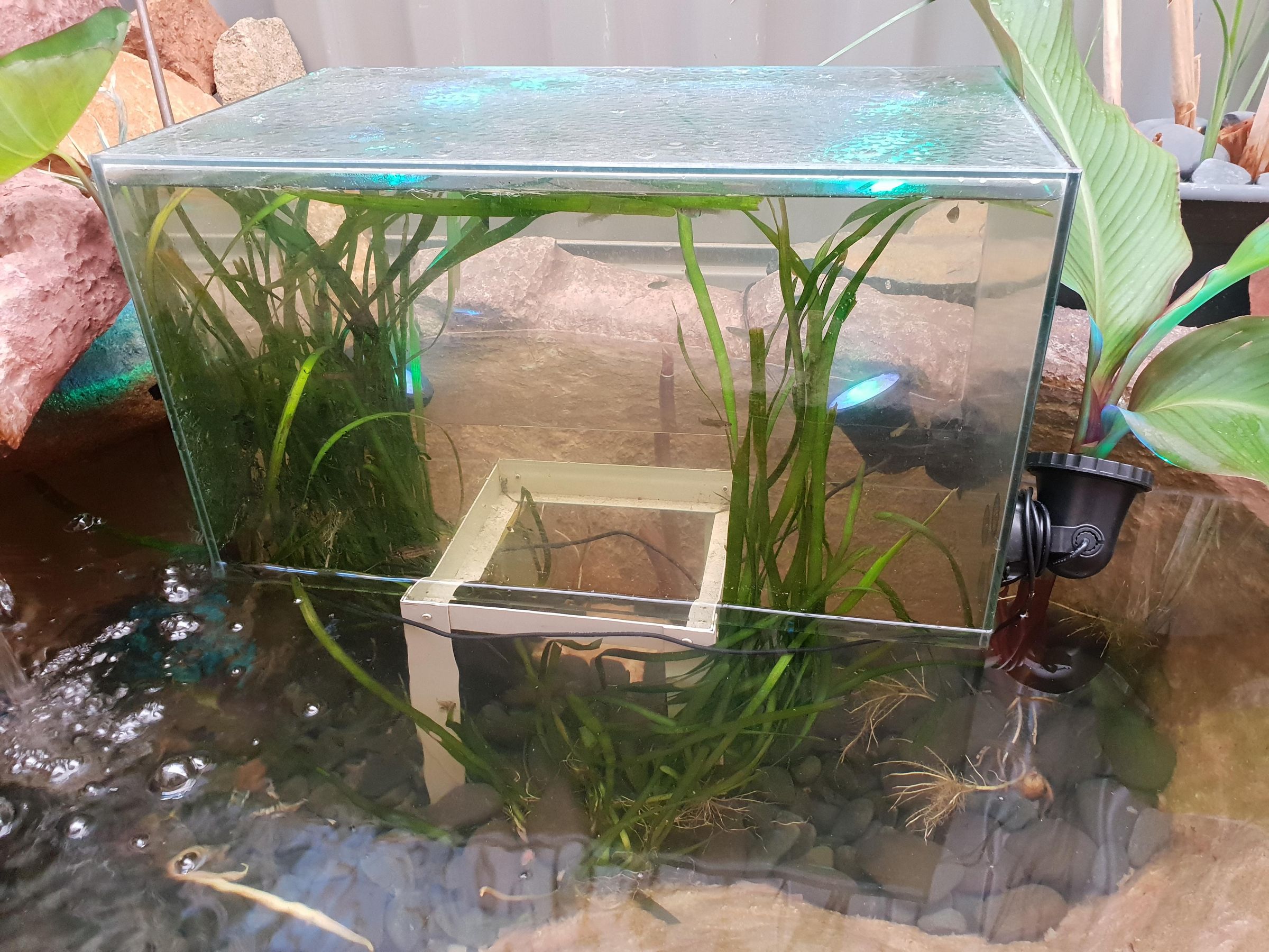 Inverted Fish Tank Tower : 5 Steps (with Pictures) - Instructables