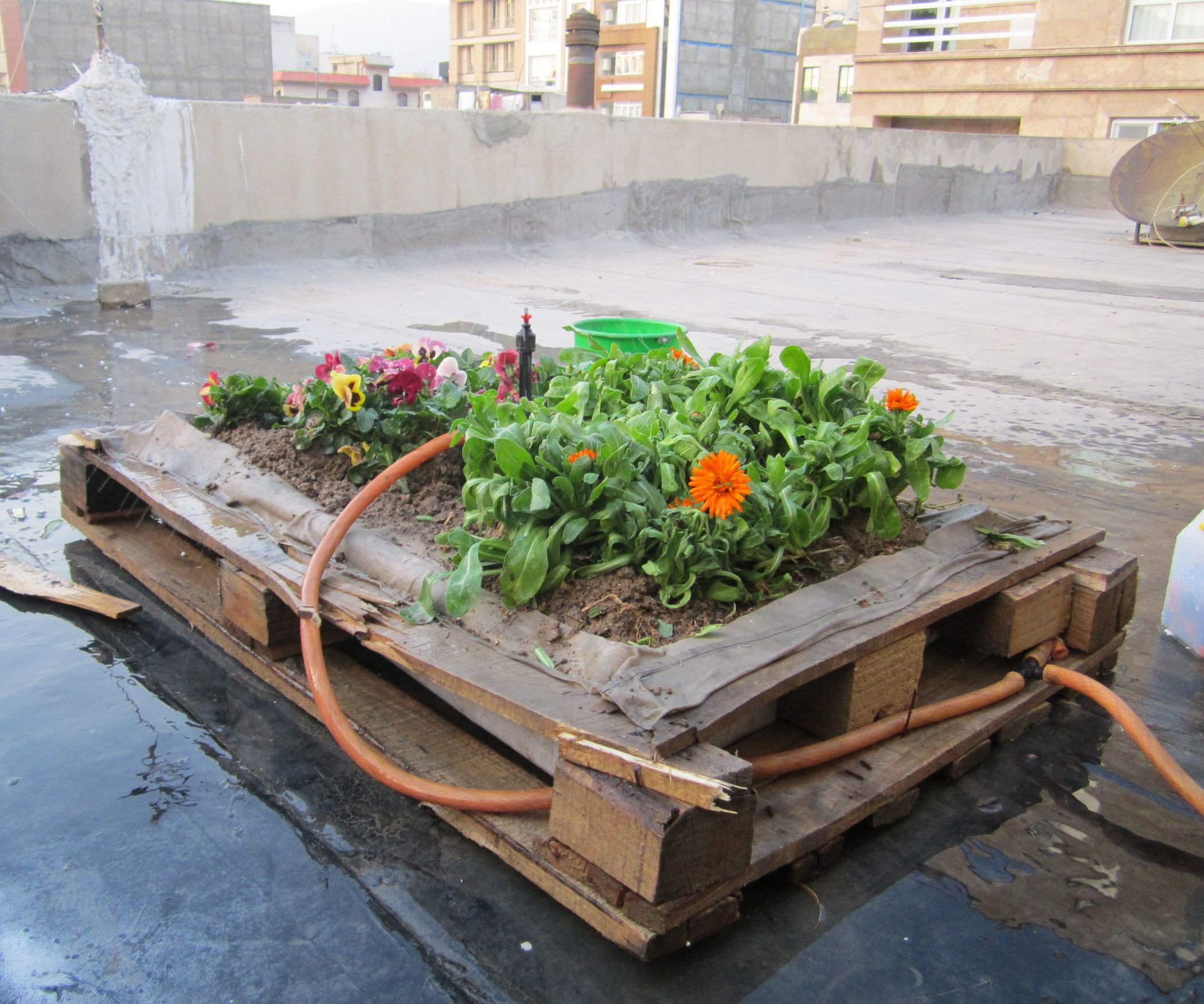 Flower-roof : 3 Steps (with Pictures) - Instructables