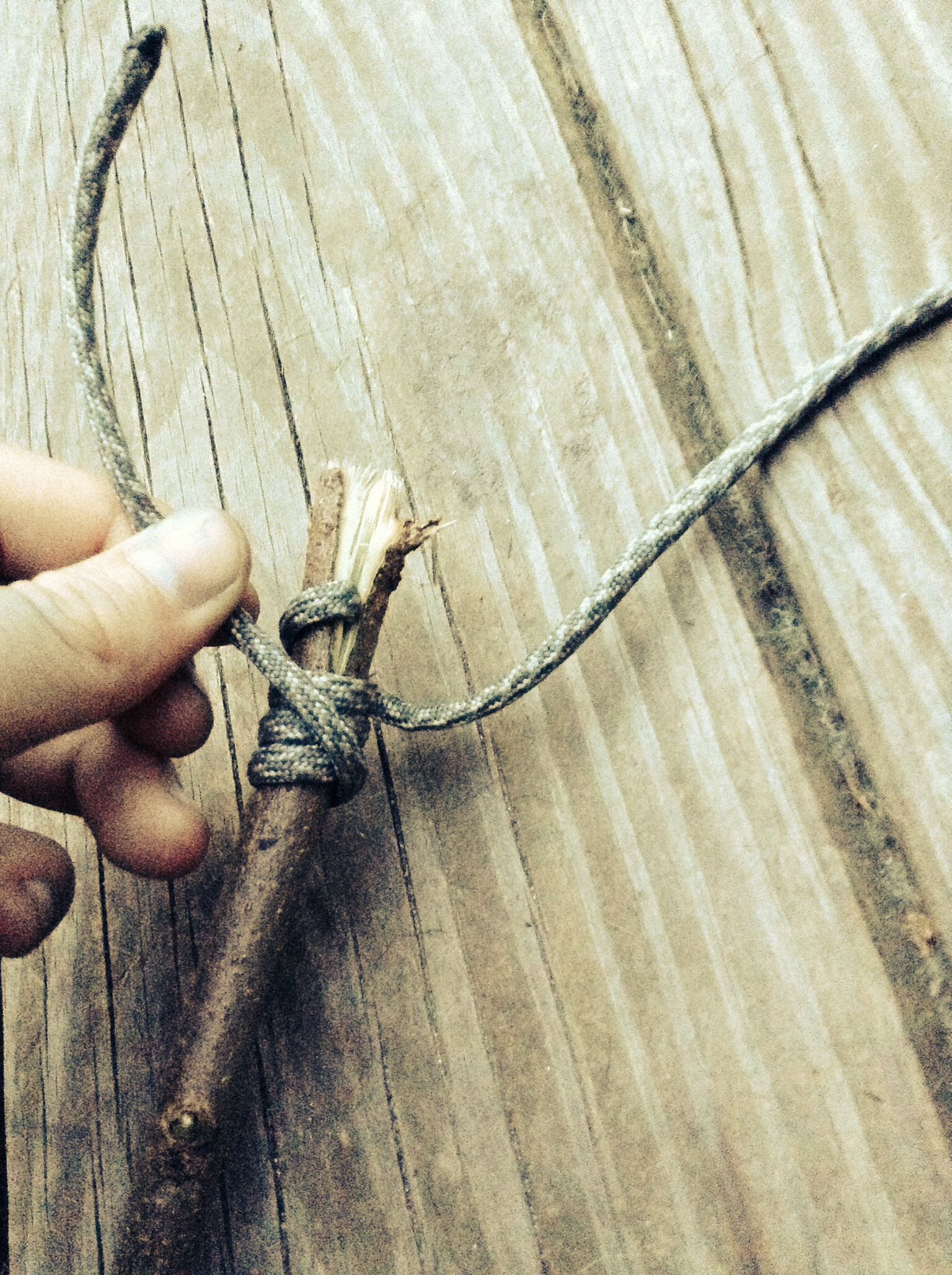 How to Make a Survival Whip Bow : 6 Steps - Instructables