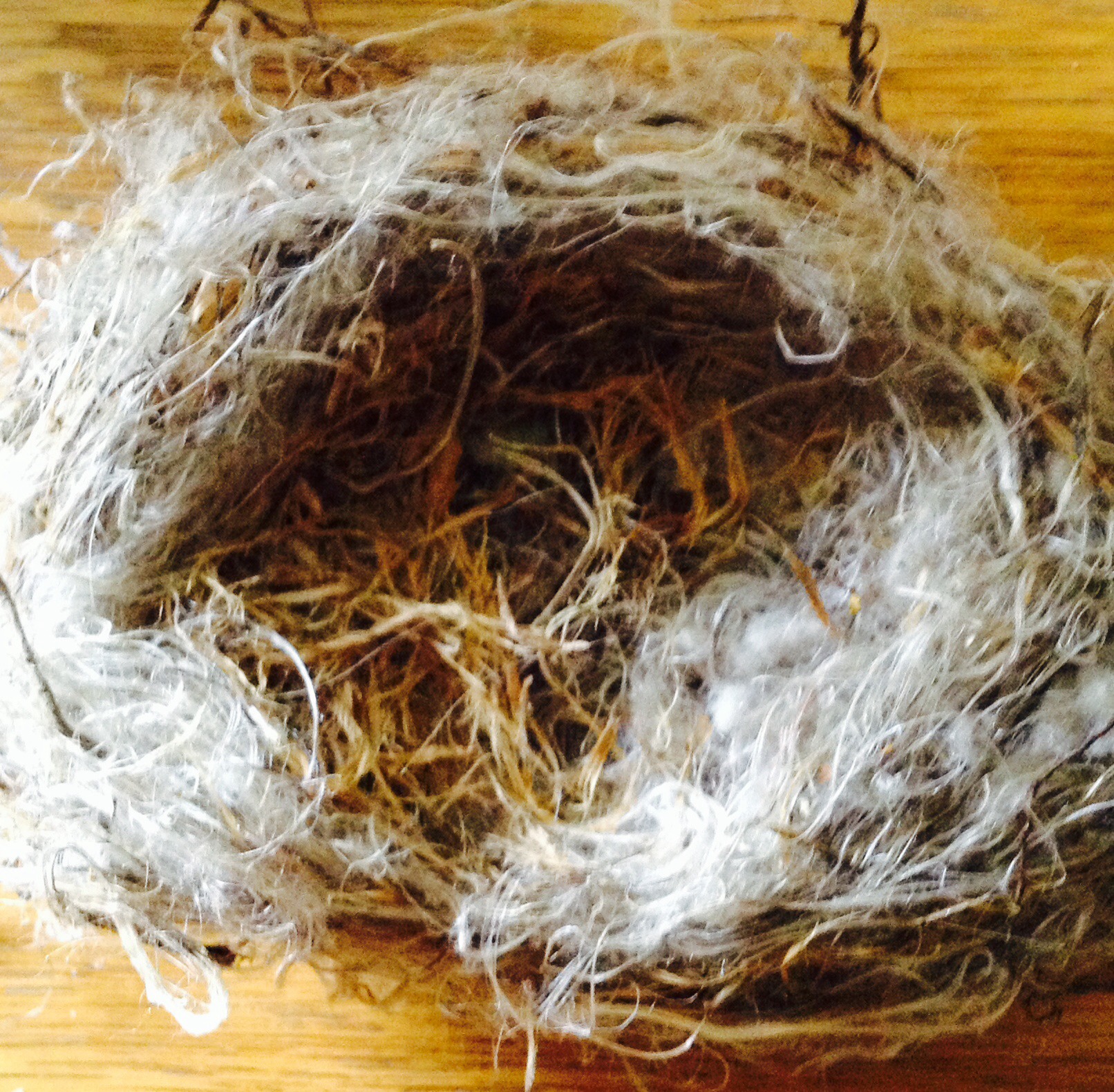 Friction Fire Making : 7 Steps (with Pictures) - Instructables