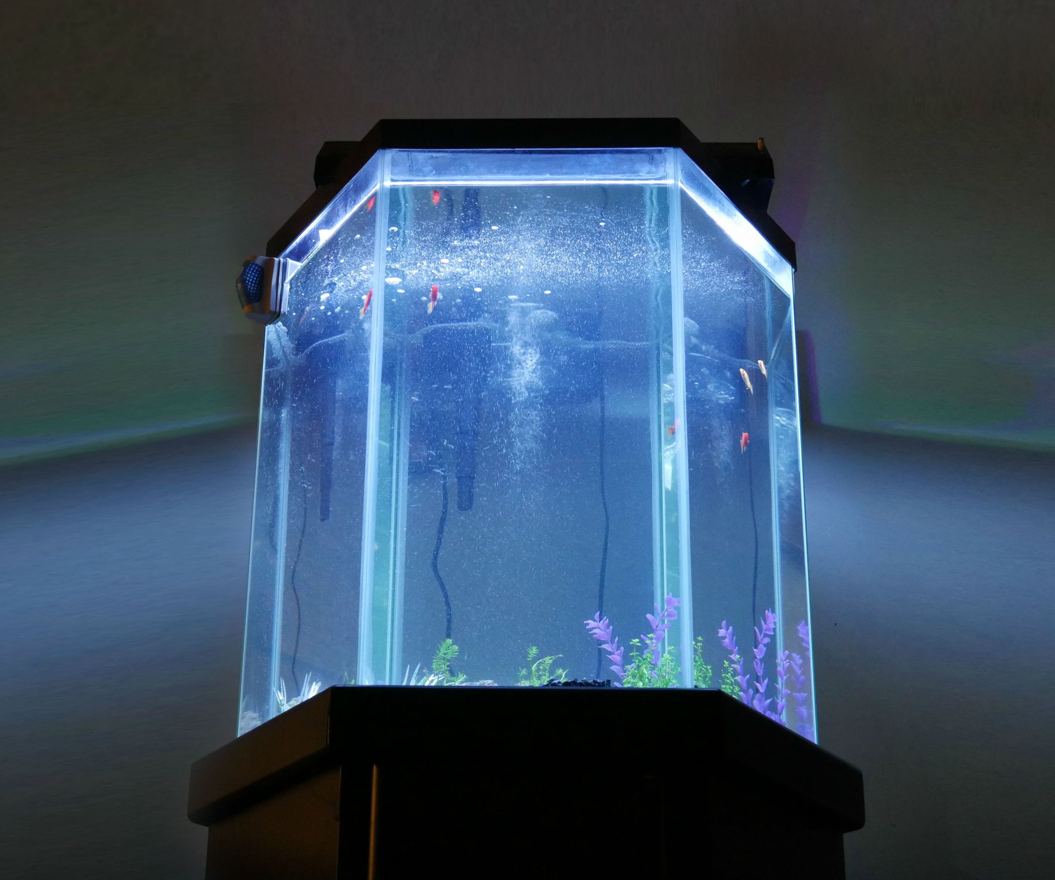 LED Aquarium Light Conversion : 5 Steps (with Pictures) - Instructables