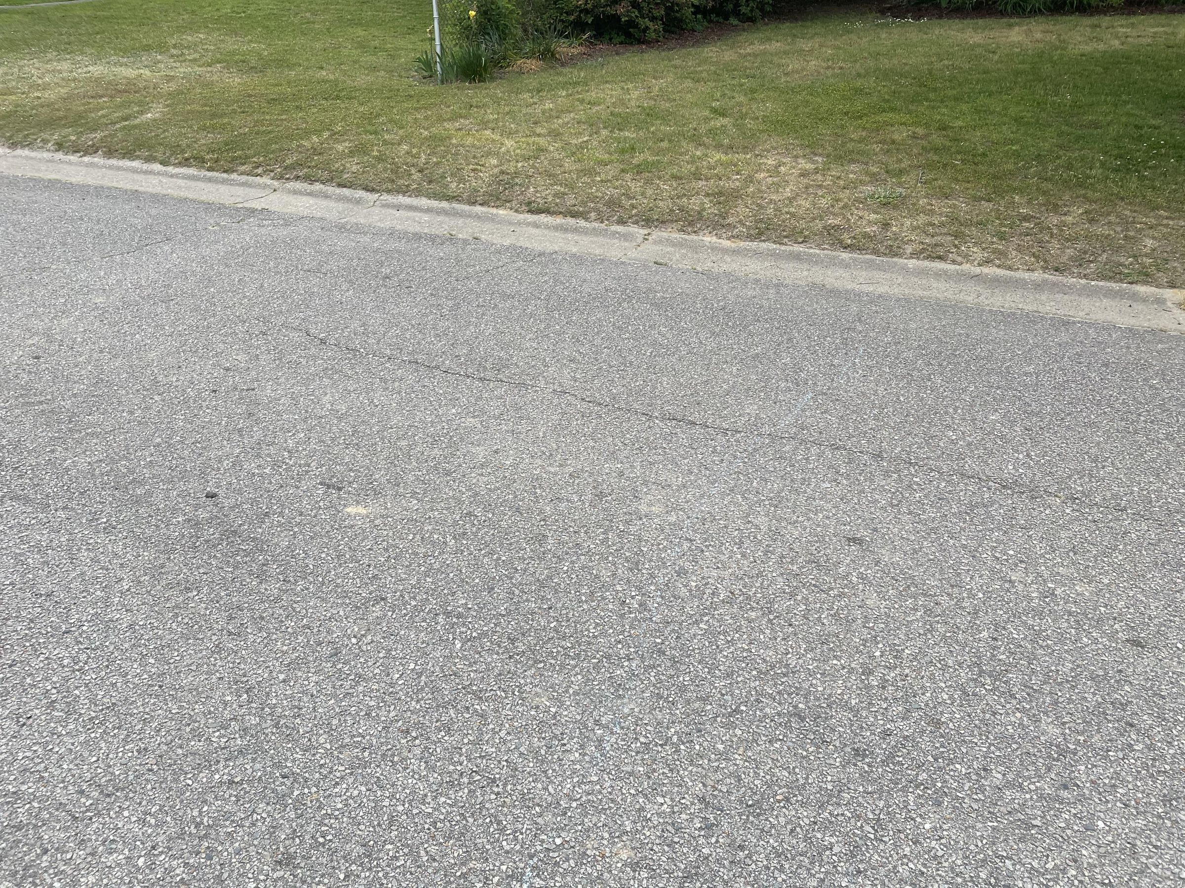 Sidewalk Chalk Art : 10 Steps (with Pictures) - Instructables