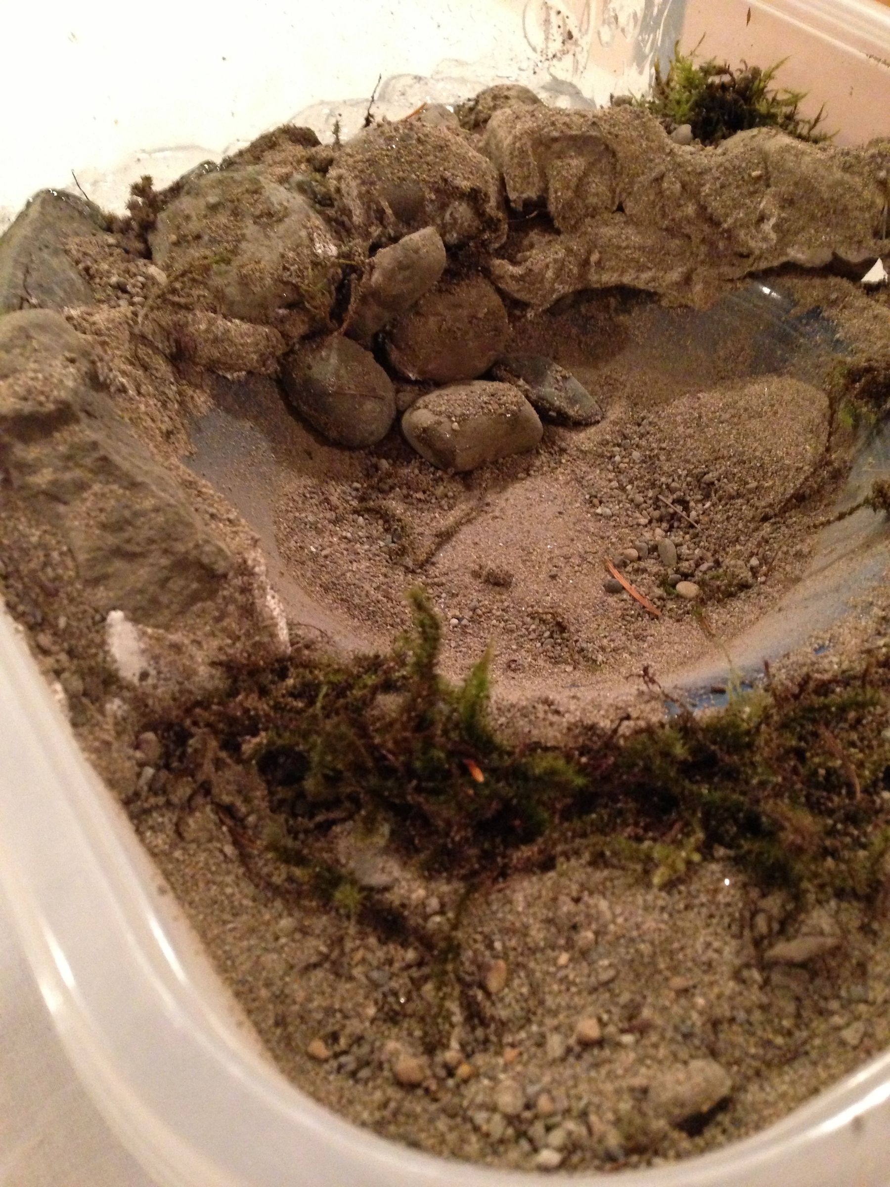 The Tide Pool Diorama : 4 Steps - Instructables