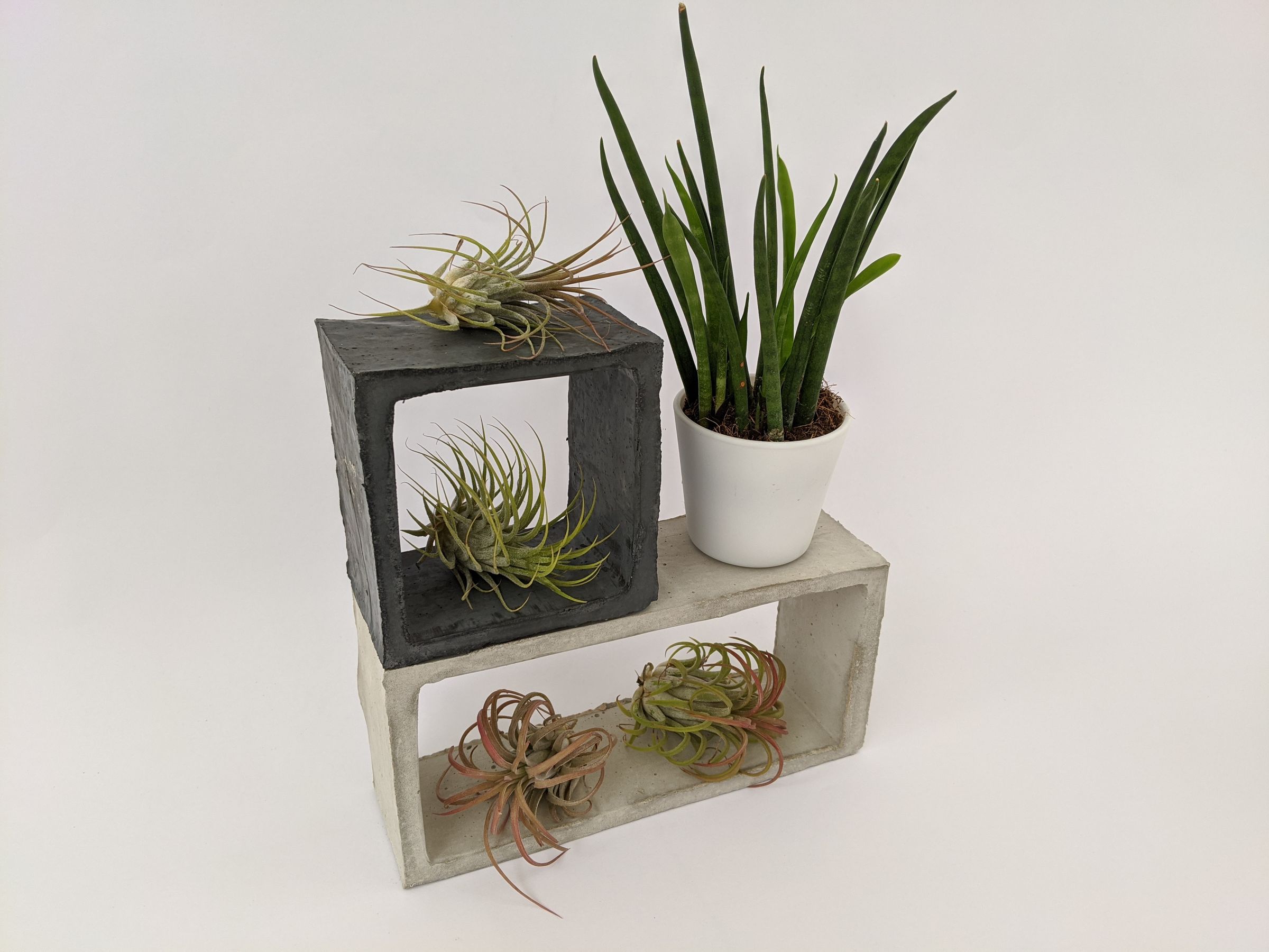 Modular Concrete Planter : 15 Steps (with Pictures) - Instructables