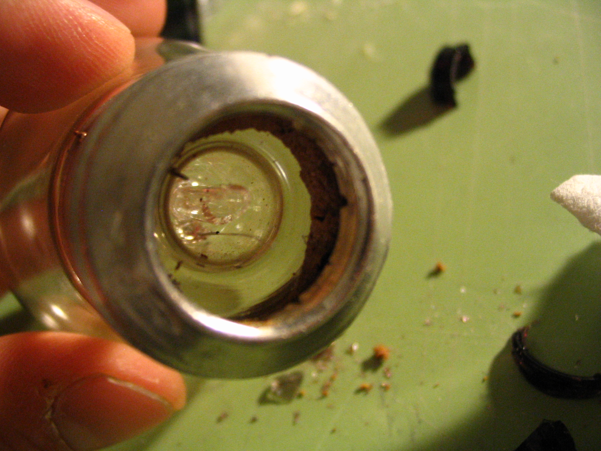 Get the LED Out: Glass Filled LED Lightbulb : 7 Steps (with Pictures ...