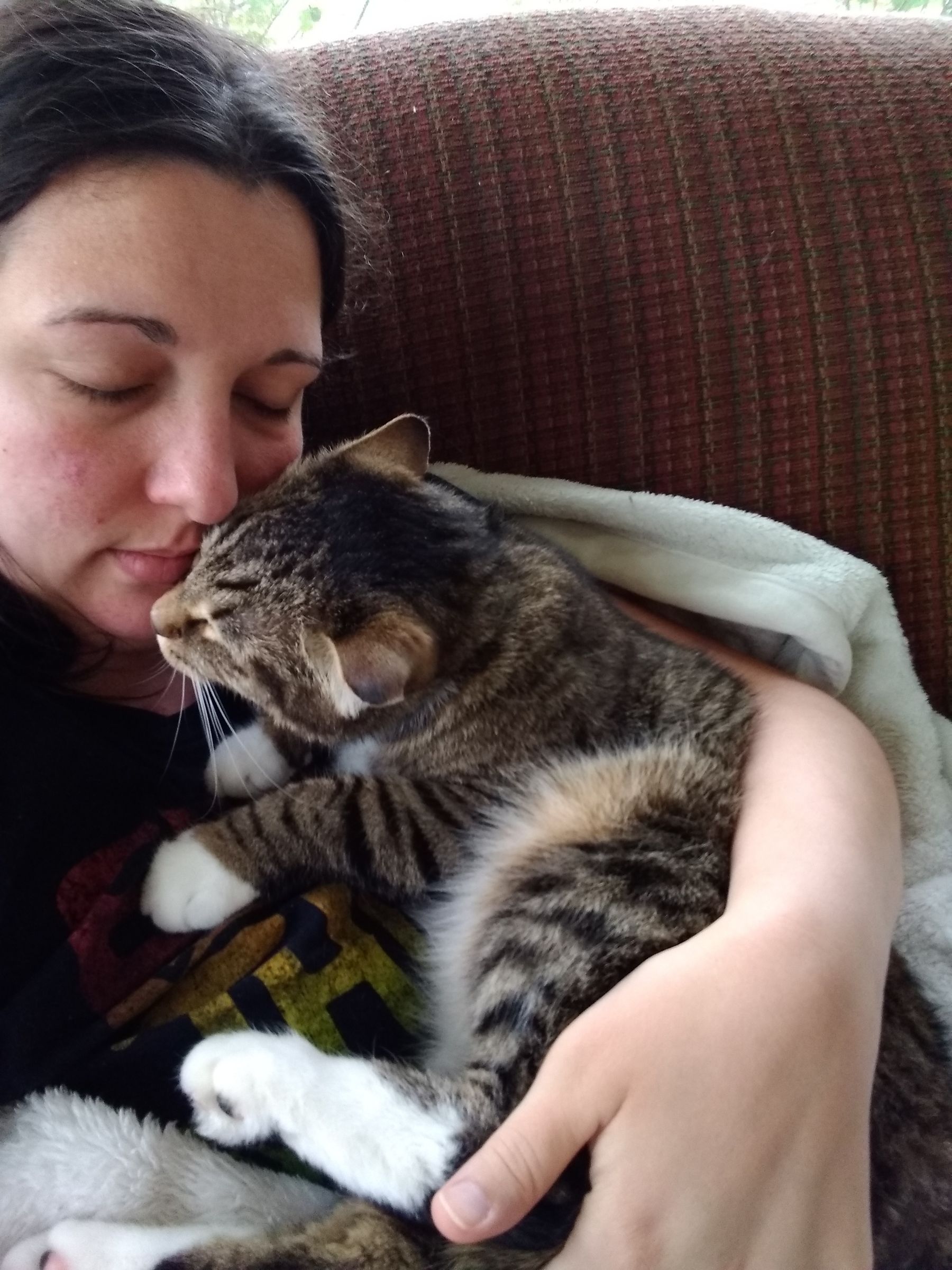 How To: Lull Your Cat to Sleep : 14 Steps (with Pictures) - Instructables