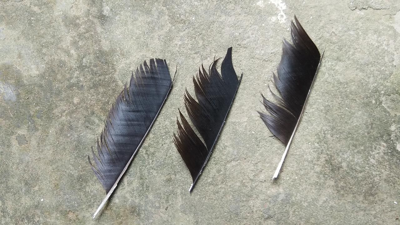 Traditional Wooden Arrow : 8 Steps (with Pictures) - Instructables