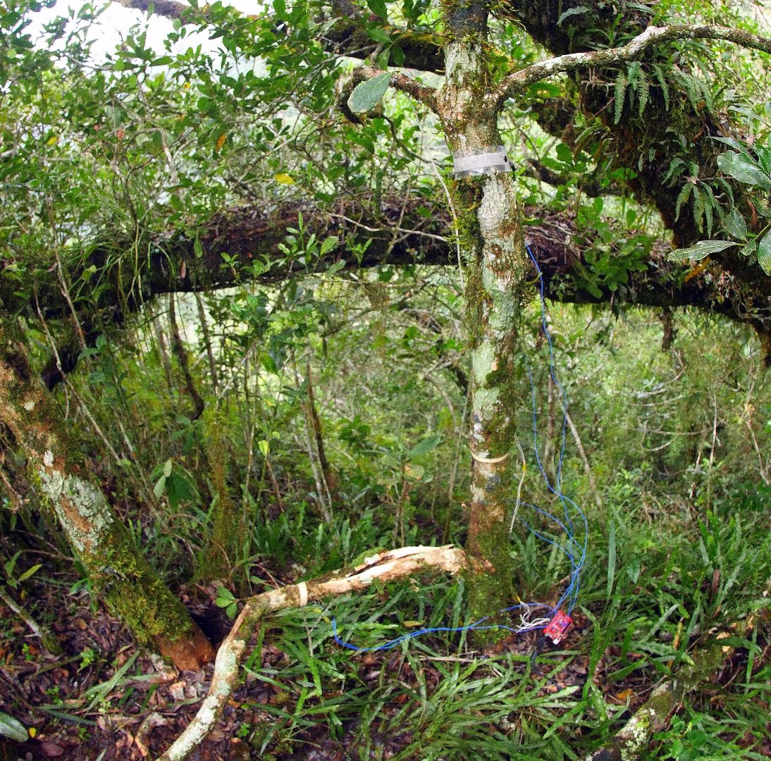 Fiber-Optic Jungle Insect Traffic Taster : 17 Steps (with Pictures ...