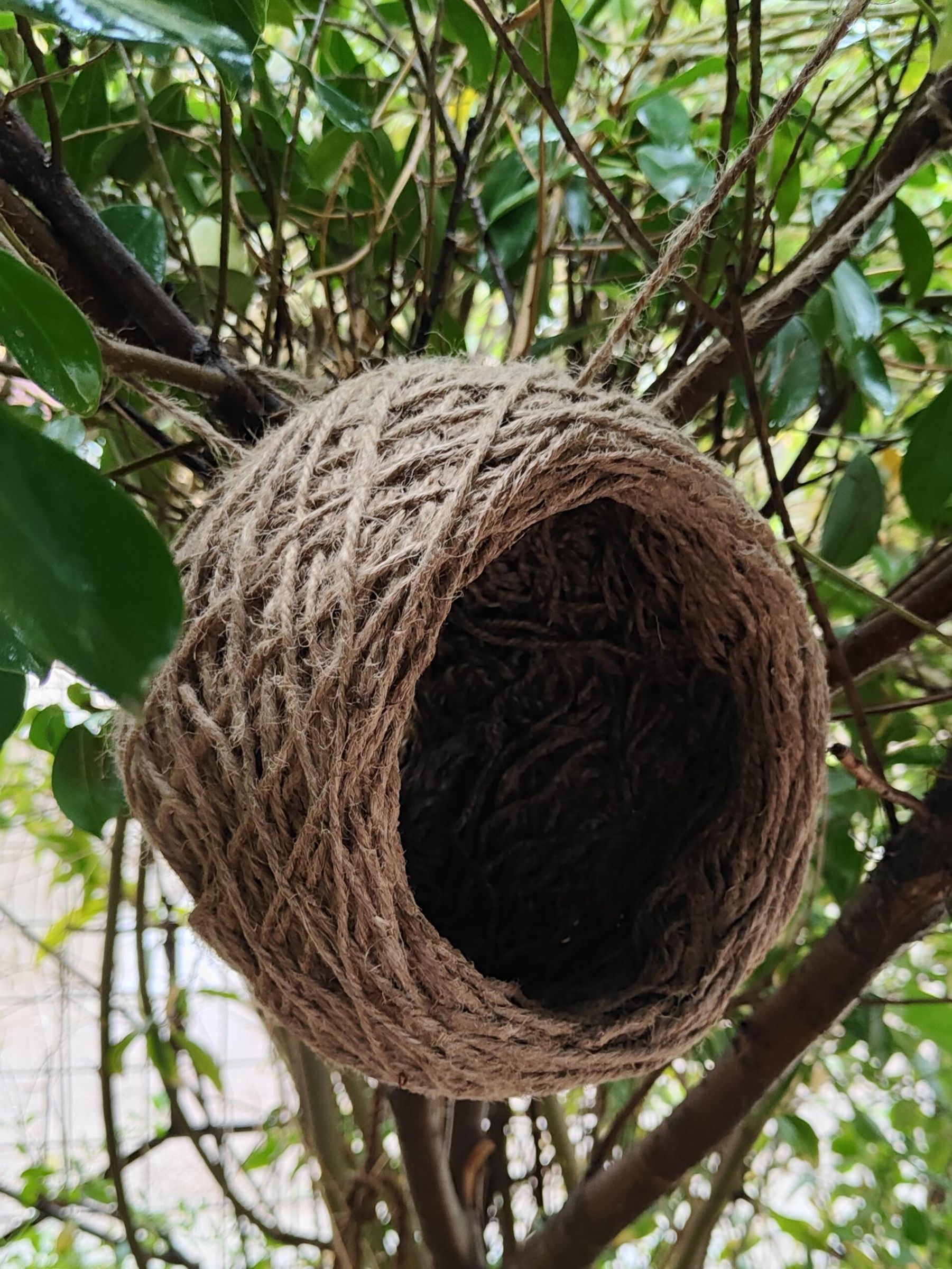 Bird's Nest From Jute Thread: Perfect Home for Our Little Buddies : 9 ...