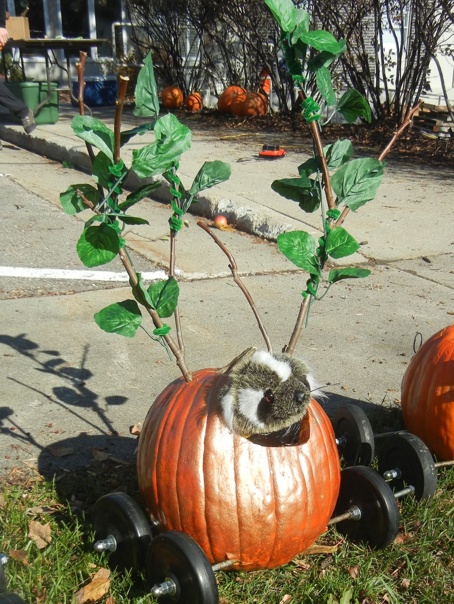 How to Build a PUMPKIN RACER With Two Parallel Independent Axles : 9 ...