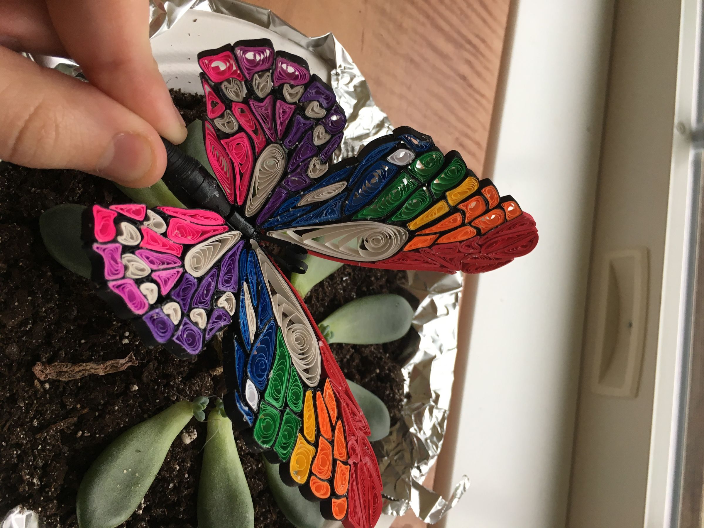 Rainbow Quilled Butterfly : 4 Steps (with Pictures) - Instructables