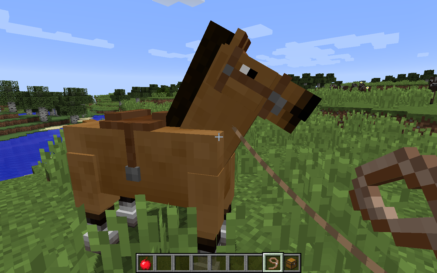 How to Ride a Horse in Minecraft : 5 Steps (with Pictures) - Instructables