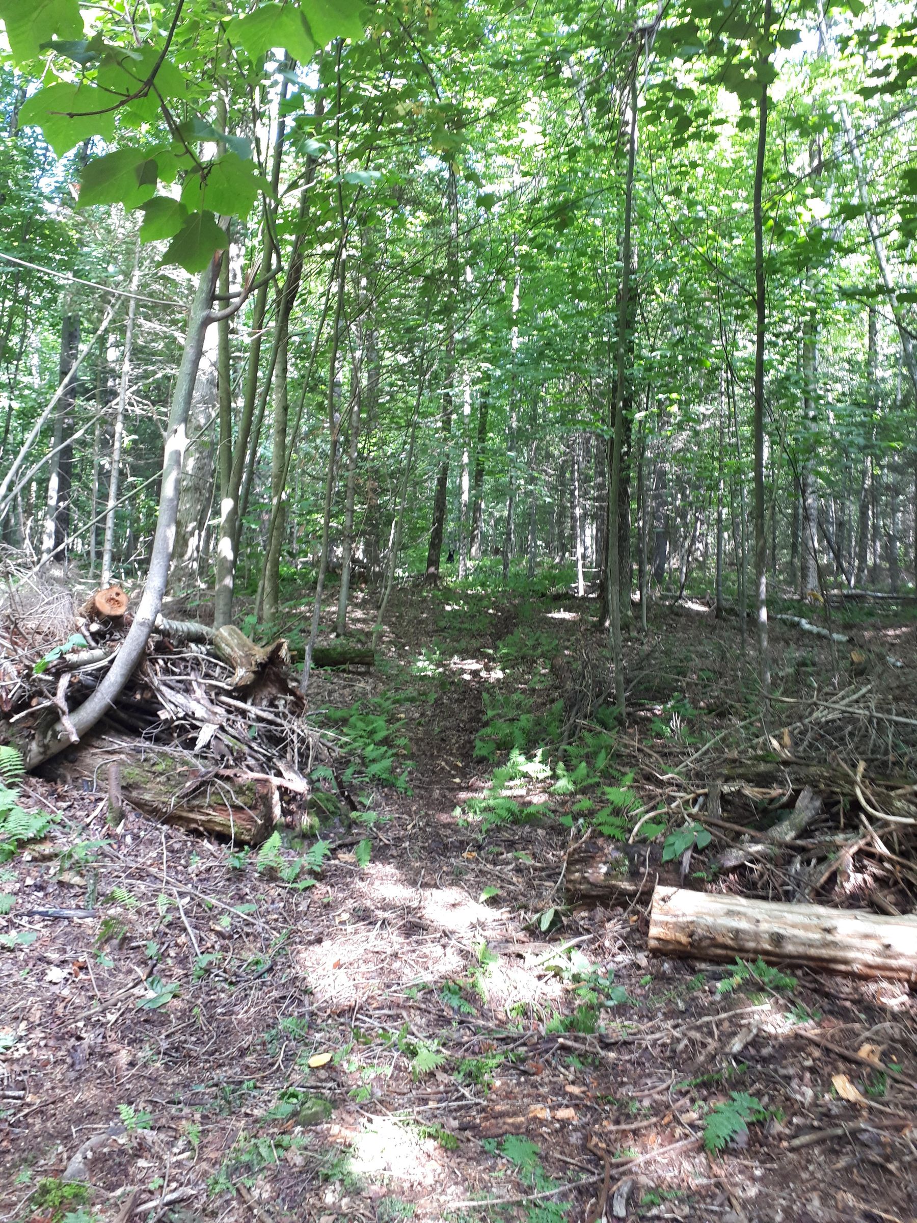 The Timber Lumber Mover : 4 Steps (with Pictures) - Instructables