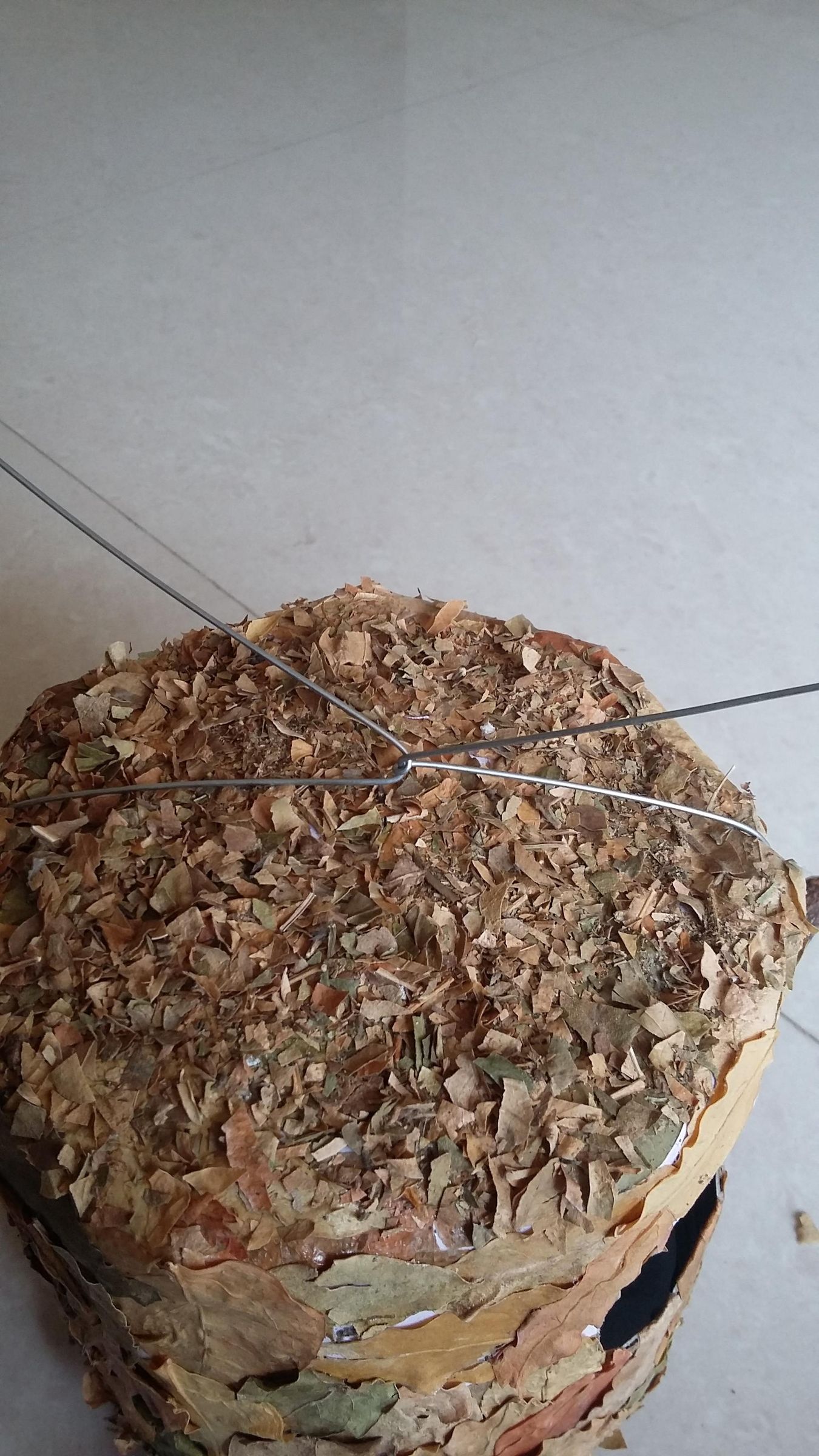 Cardboard Birds Nest Box : 12 Steps (with Pictures) - Instructables