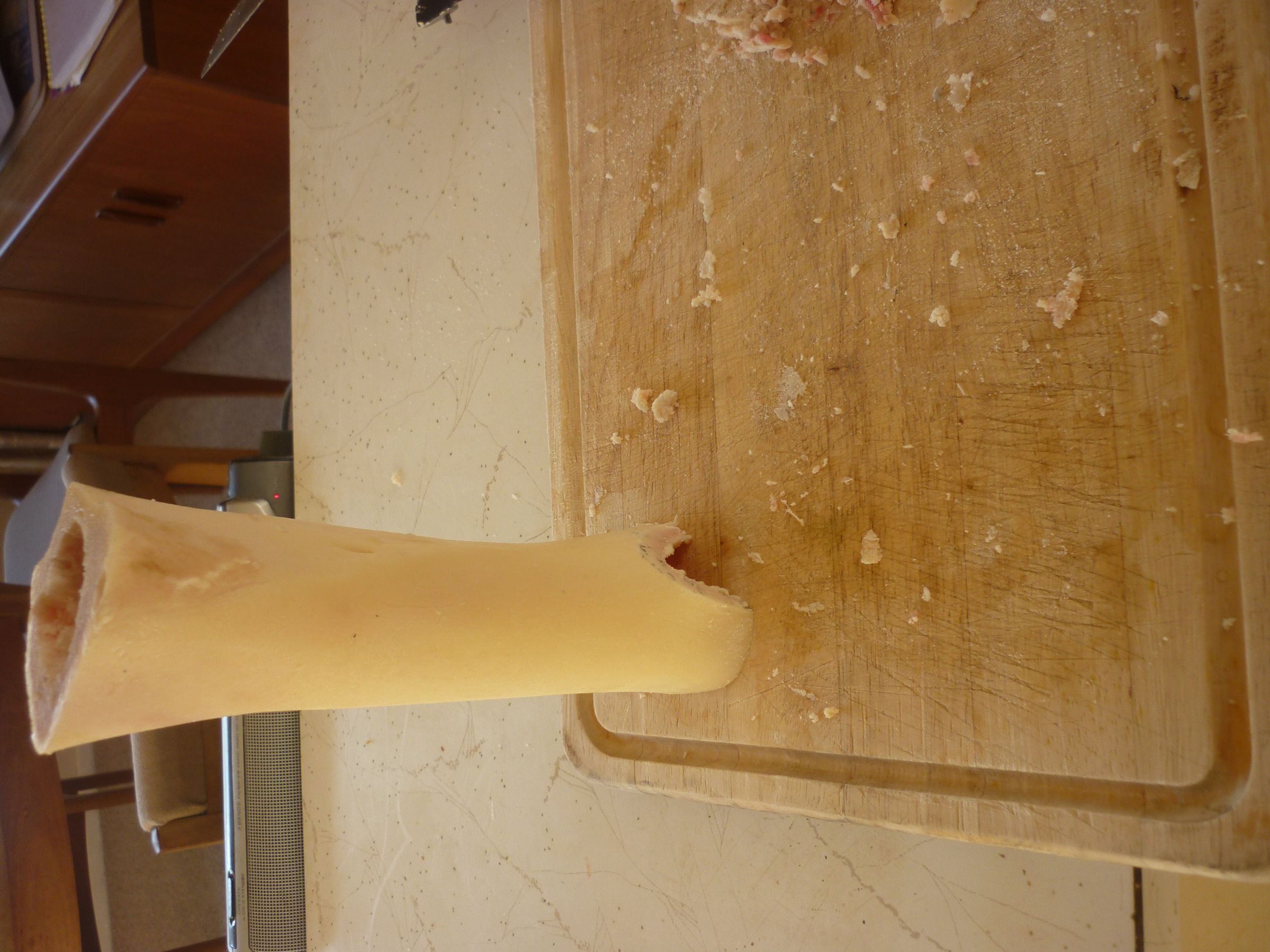 Prepare Bone for Carving : 8 Steps - Instructables