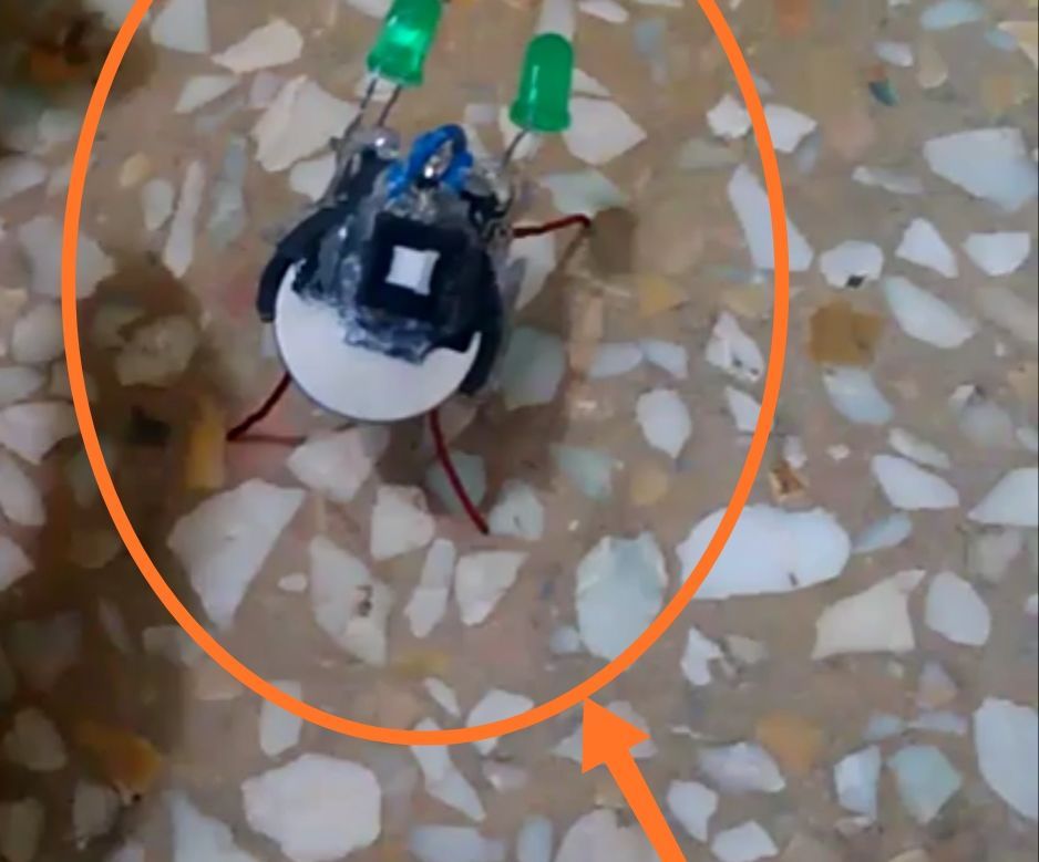 Bug Bot - Instructables