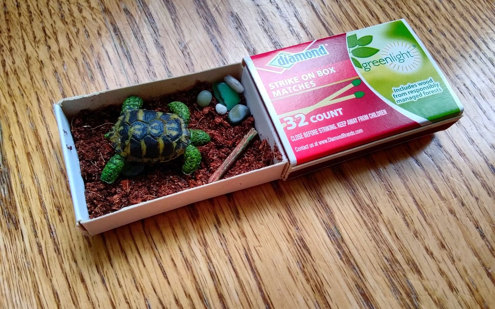 Matchbox Pet : 5 Steps (with Pictures) - Instructables