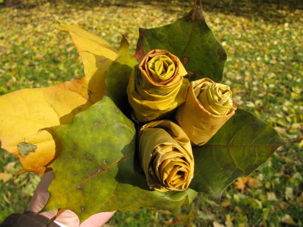 Roses From Maple Leafs. : 10 Steps (with Pictures) - Instructables