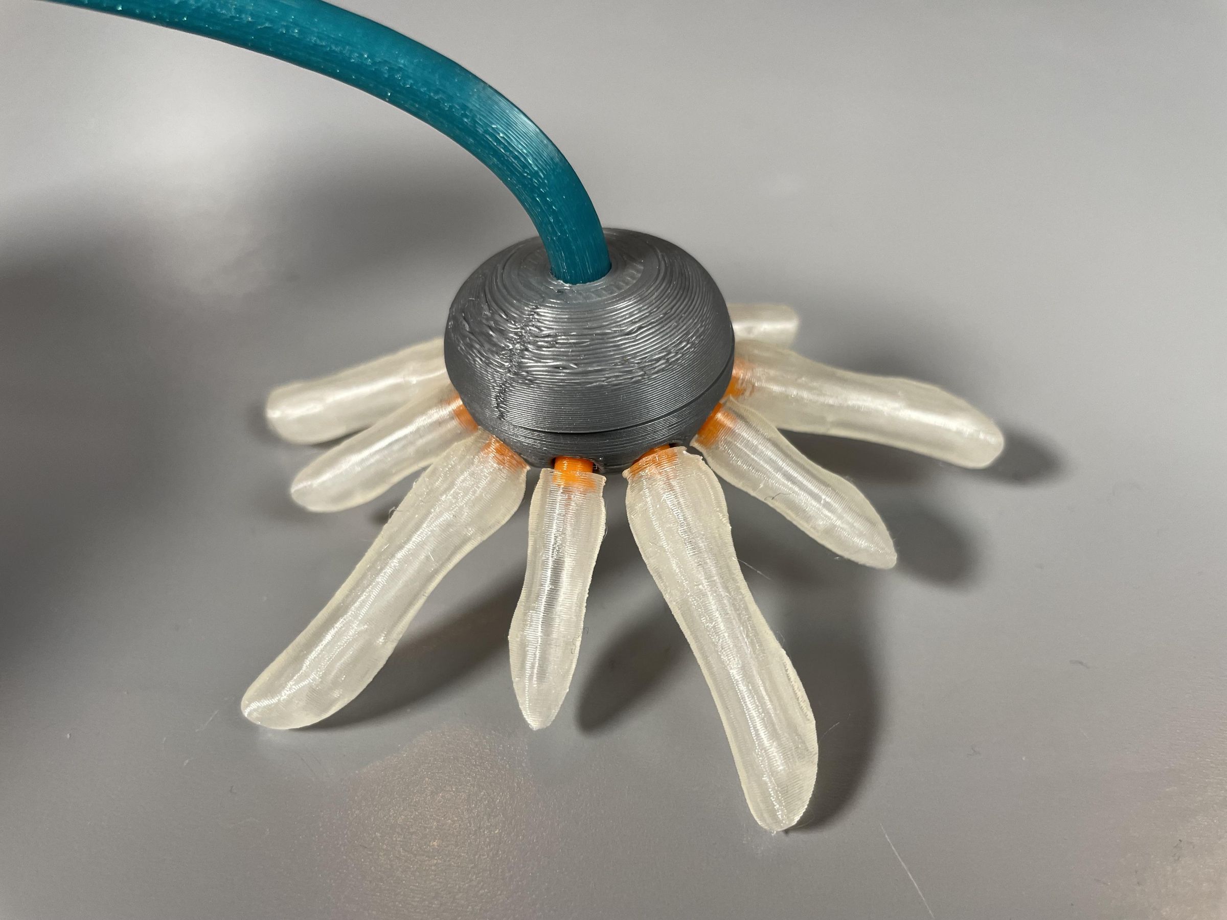 Night Blossom: the Radioactive Flower That Glows for 30+ Years : 9 ...