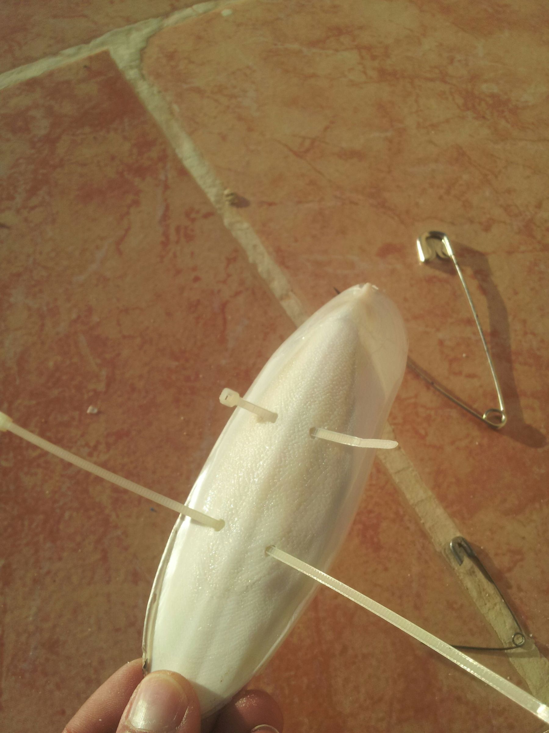 Zip Tie Cuttlebone Holder for Birds : 6 Steps - Instructables