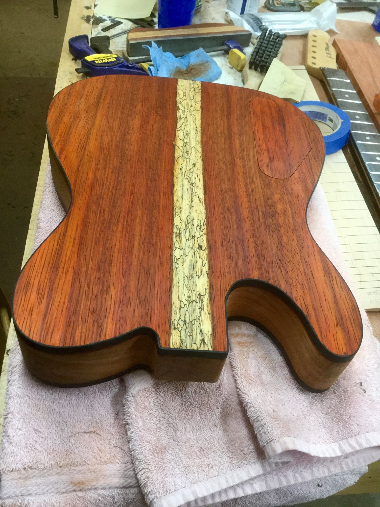 Building a Guitar: Telecaster Thinline : 12 Steps (with Pictures ...