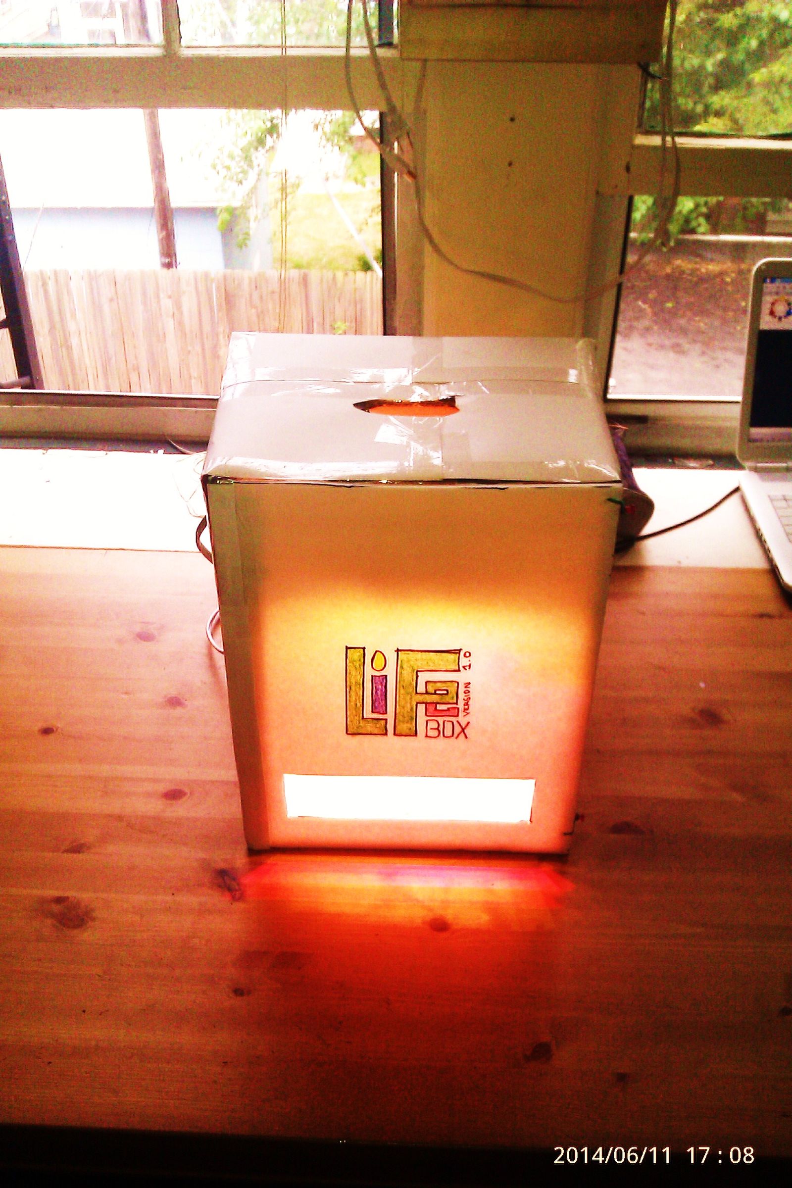 The Plant Box : 6 Steps - Instructables