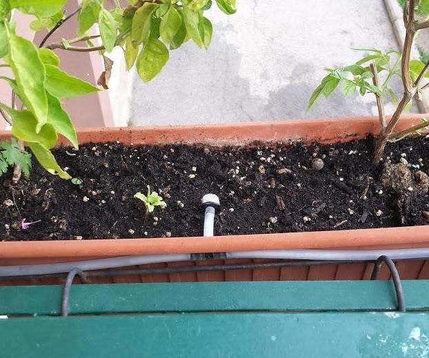 Battery-powered Irrigation for Balcony Plants : 5 Steps (with Pictures ...