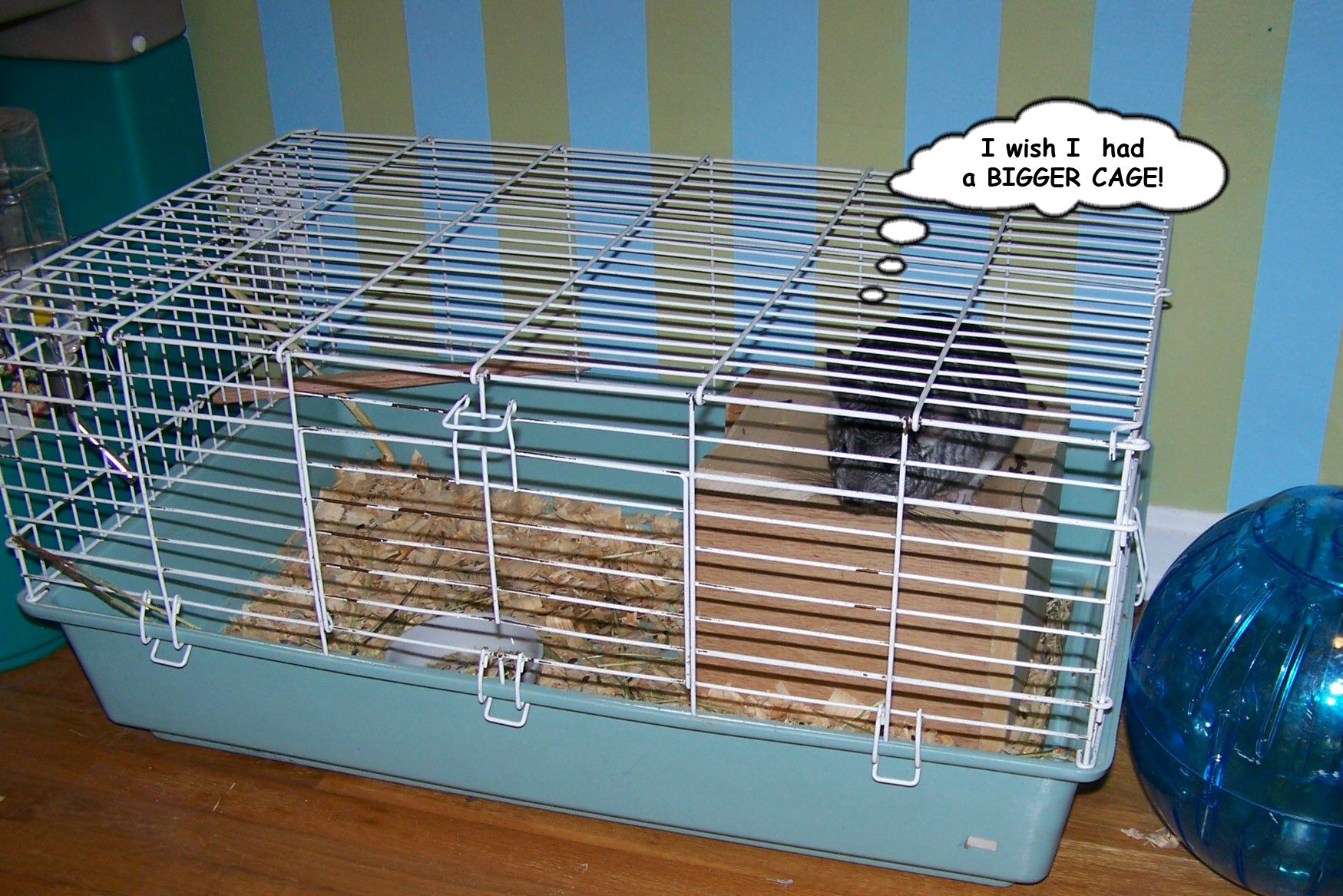 Make Your Chinchilla's Cage Bigger. : 6 Steps (with Pictures ...