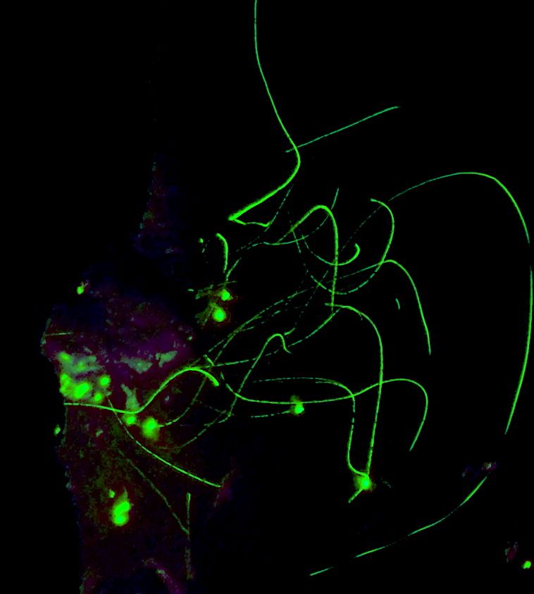 Create Cool Looking Photos : 5 Steps - Instructables