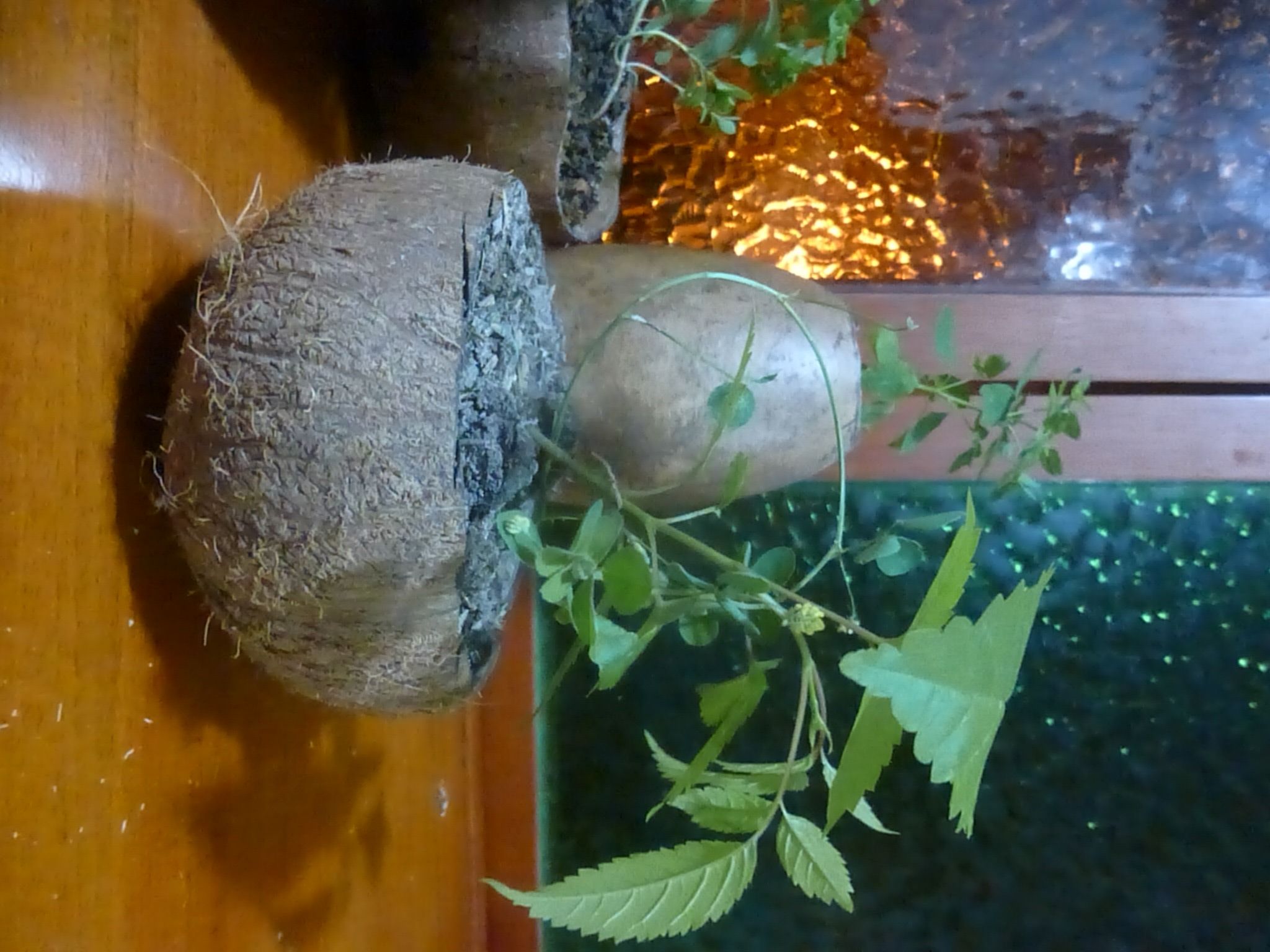 ORGANIC PLANTERS : 3 Steps - Instructables