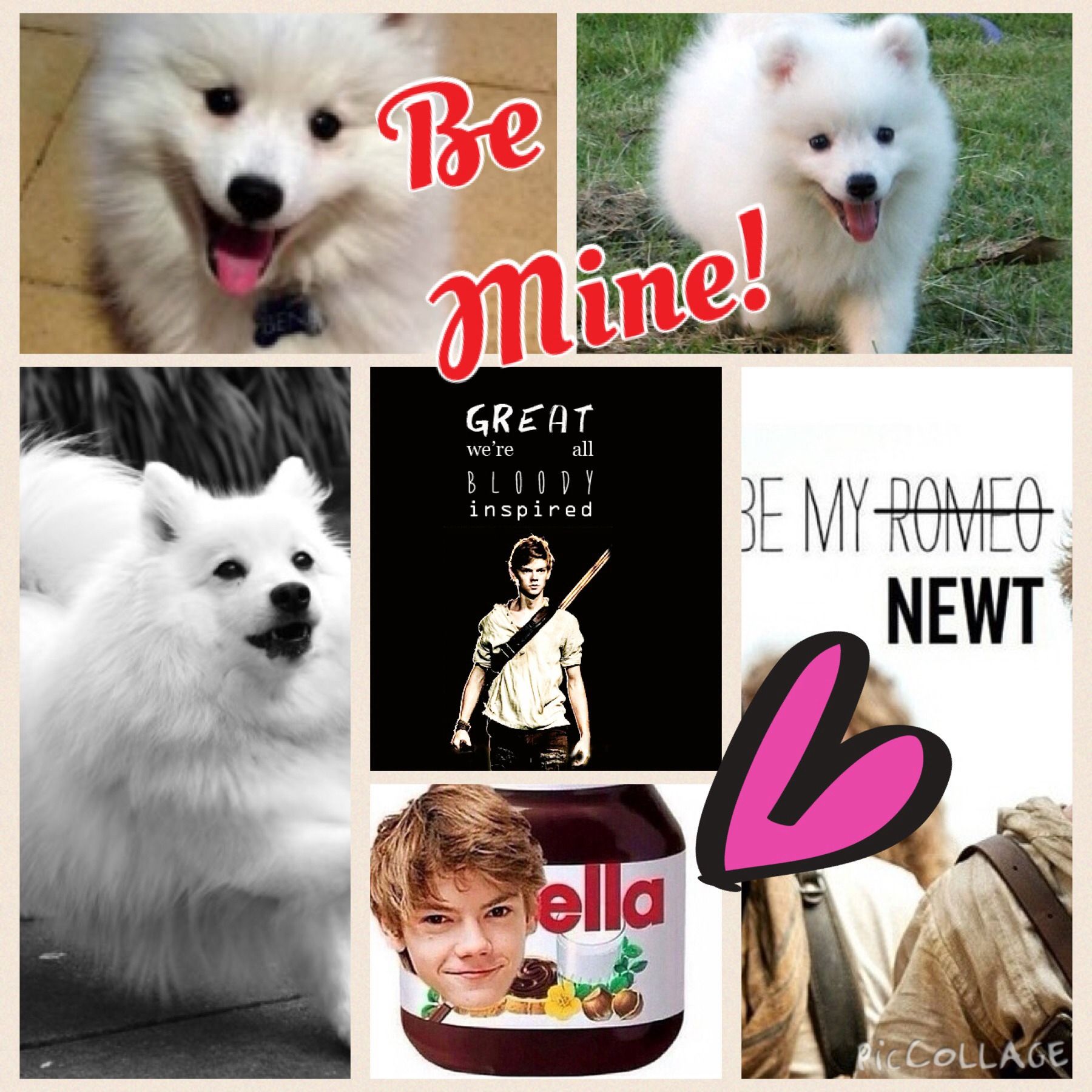 Create a Awesome Pic Collage!! : 5 Steps - Instructables